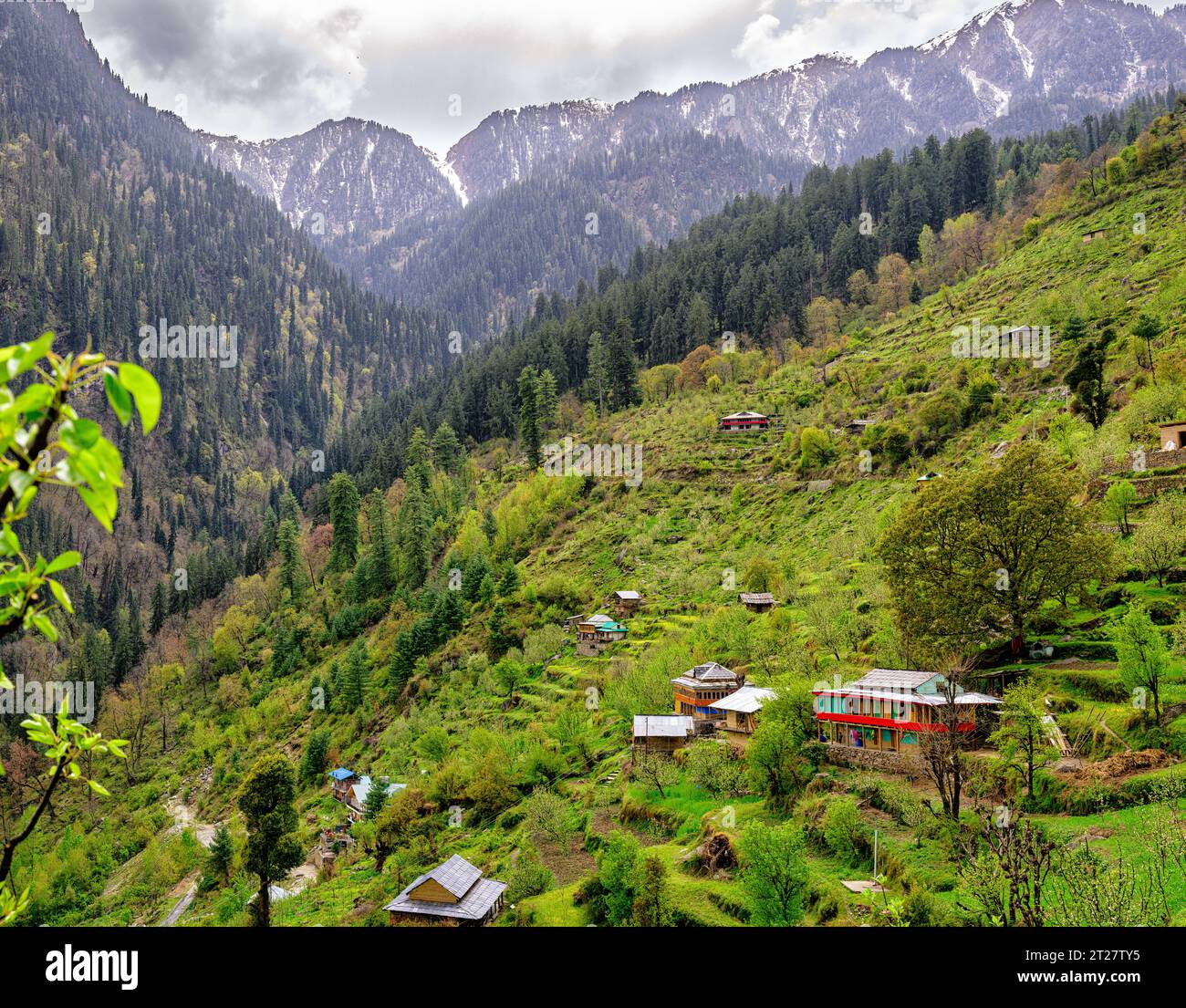 Terraced farmland in the Himalaya mountain range near Sharchi village ...