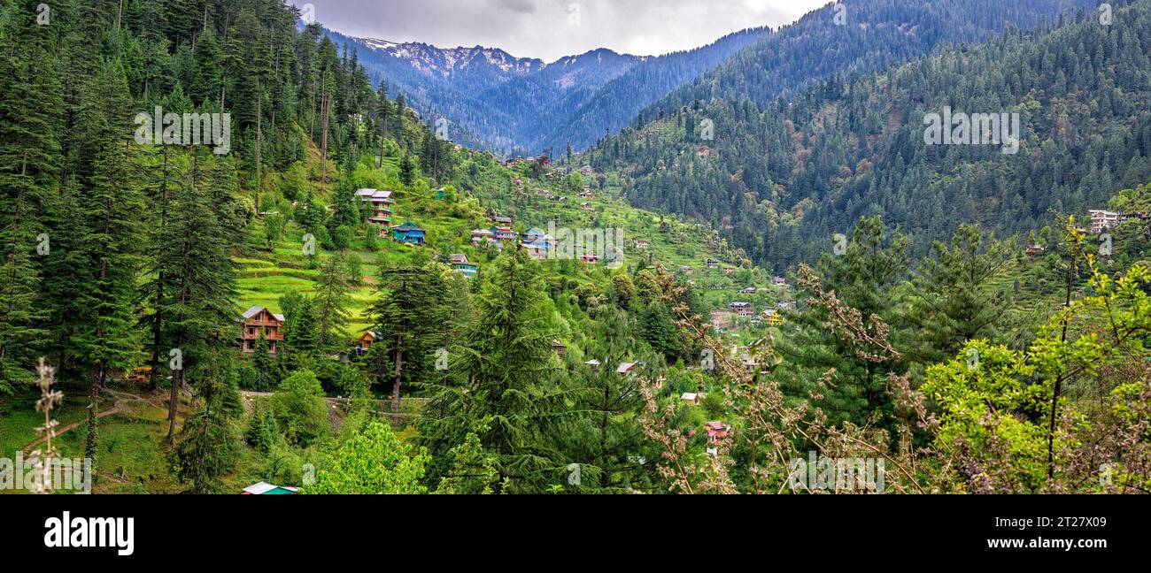 Lush green landscape surrounding Jibhi village in Himachal Pradesh ...