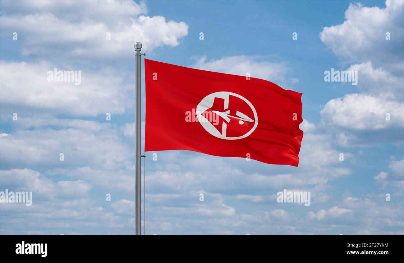 PFLP or Popular Front for the Liberation of Palestine flag waving in ...