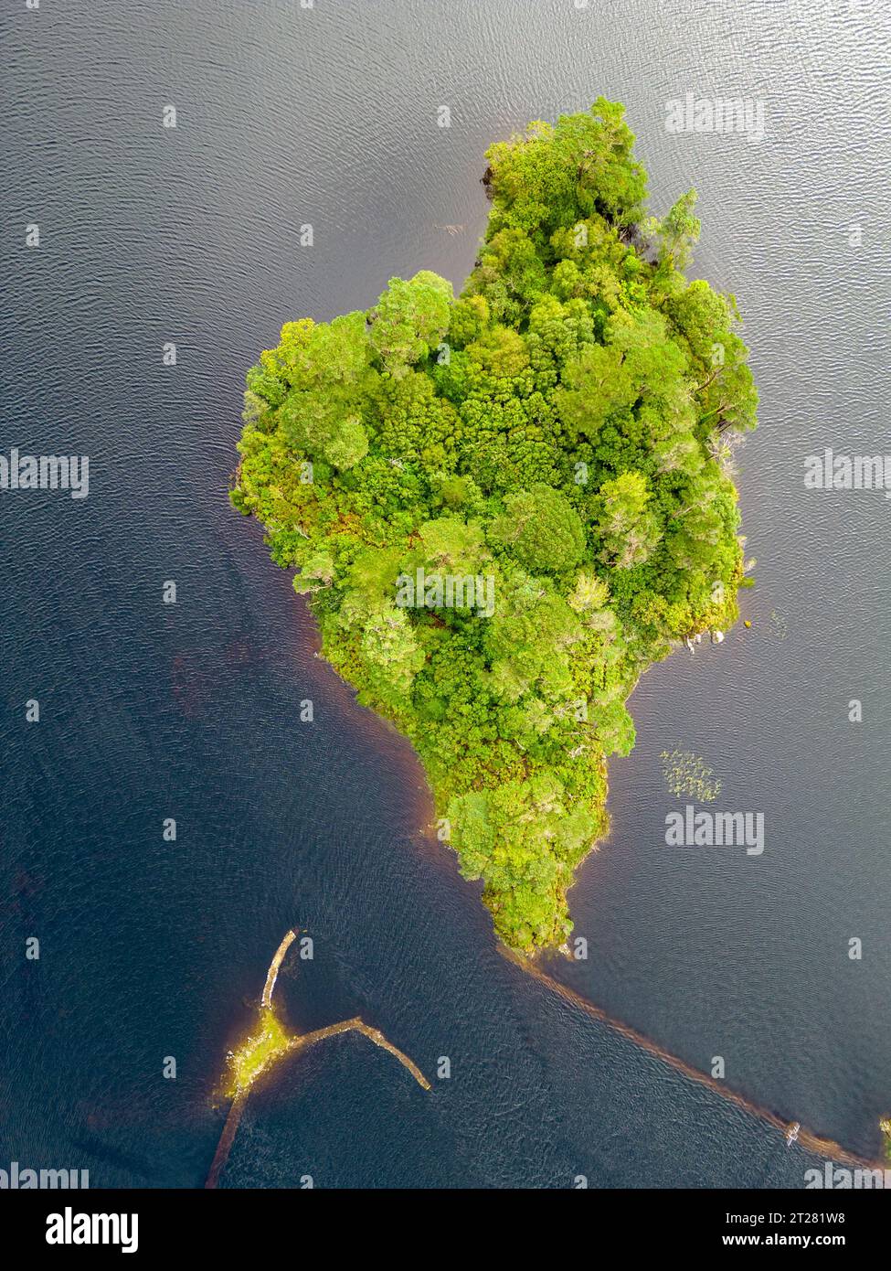 Pines island of derryclare lake hi-res stock photography and images - Alamy