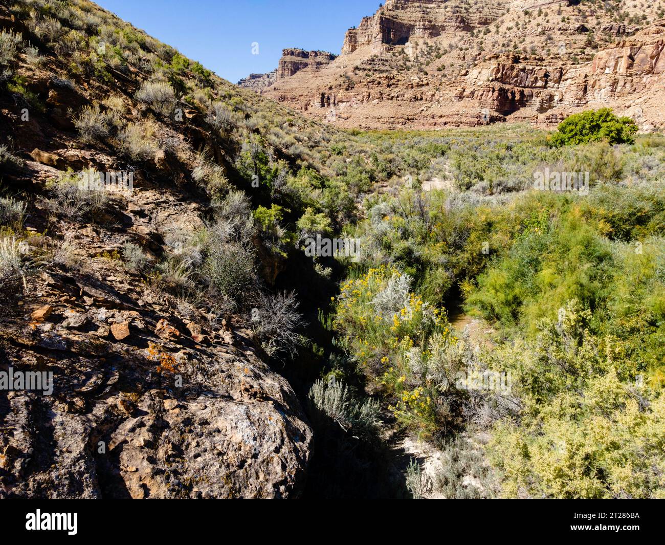Aerial photograph of Nince Mile Canyon, The world's largest outdoor art ...
