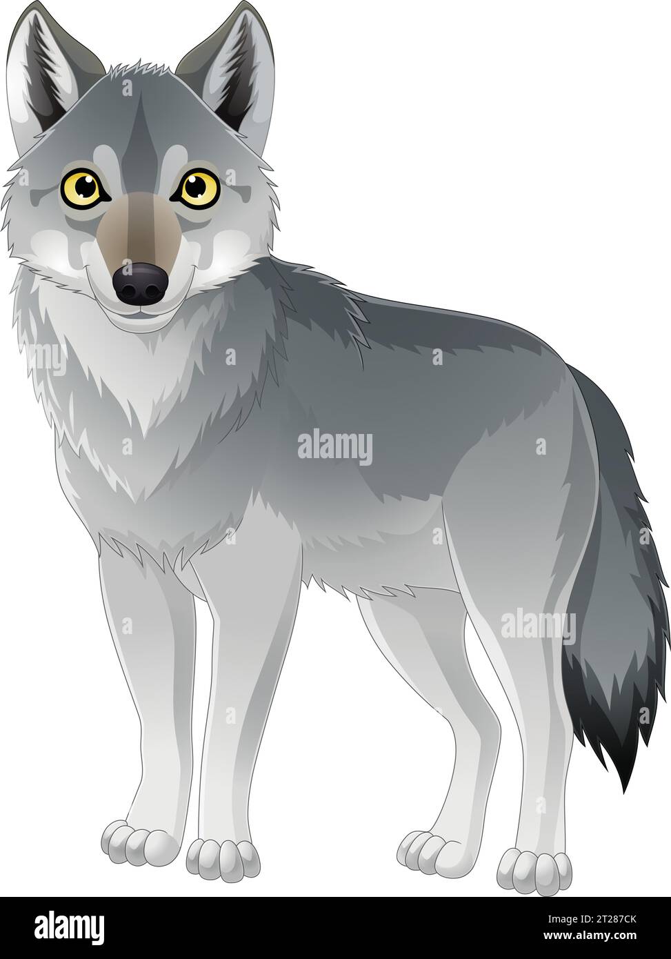 Cartoon wolf on white background Stock Vector Image & Art - Alamy
