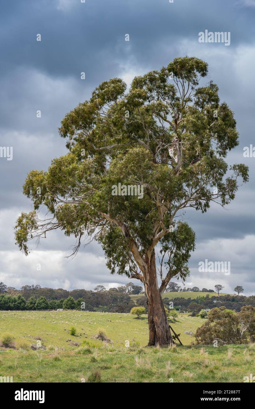 Day out in the country enjoying the scenery around Lucknow near Orange ...
