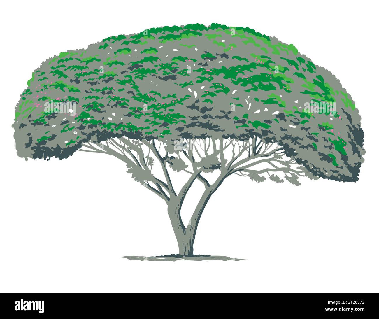 Plant a tree project Cut Out Stock Images & Pictures - Alamy
