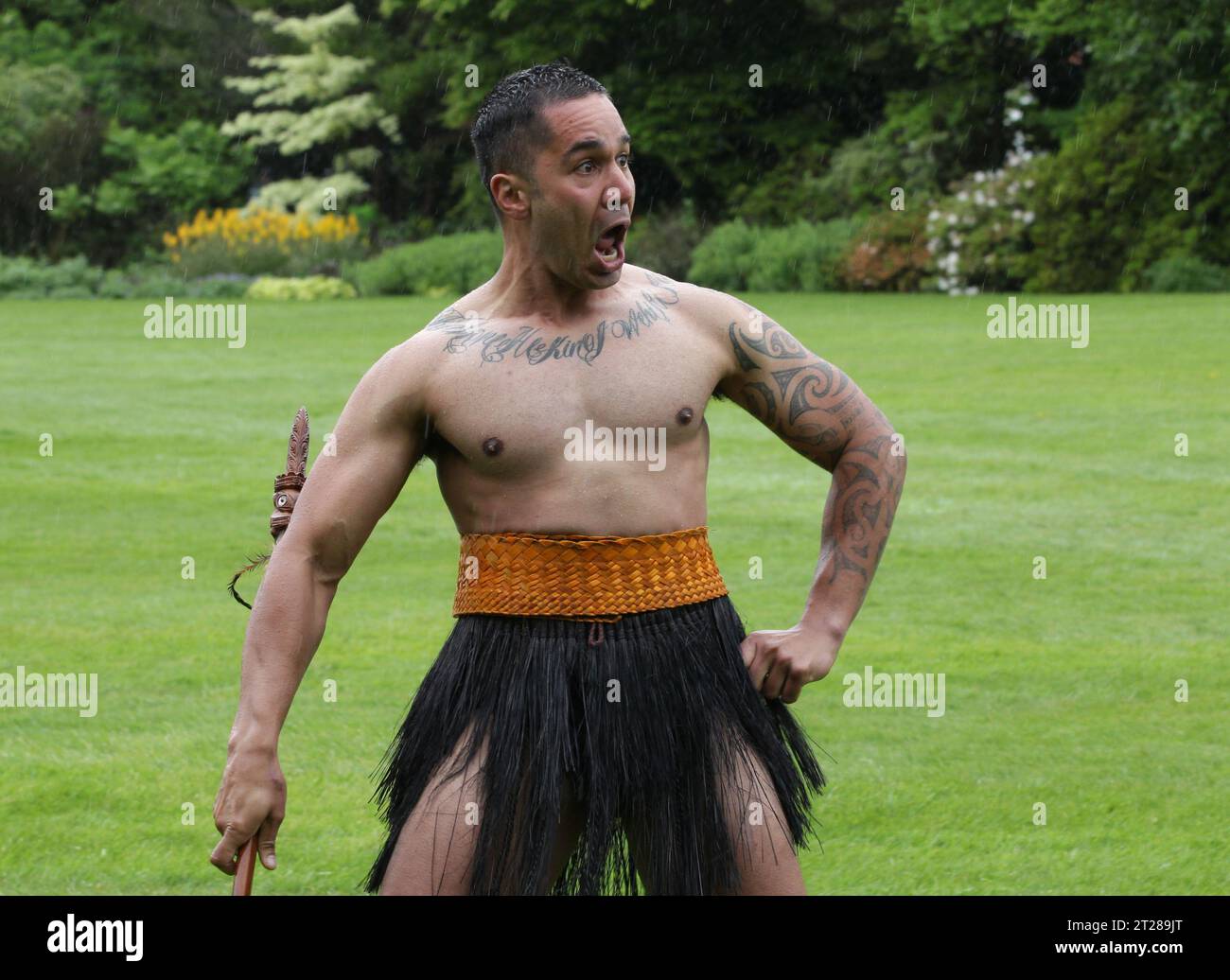 A maori warrior performs a powhiri (maori welcome) for King Willem ...