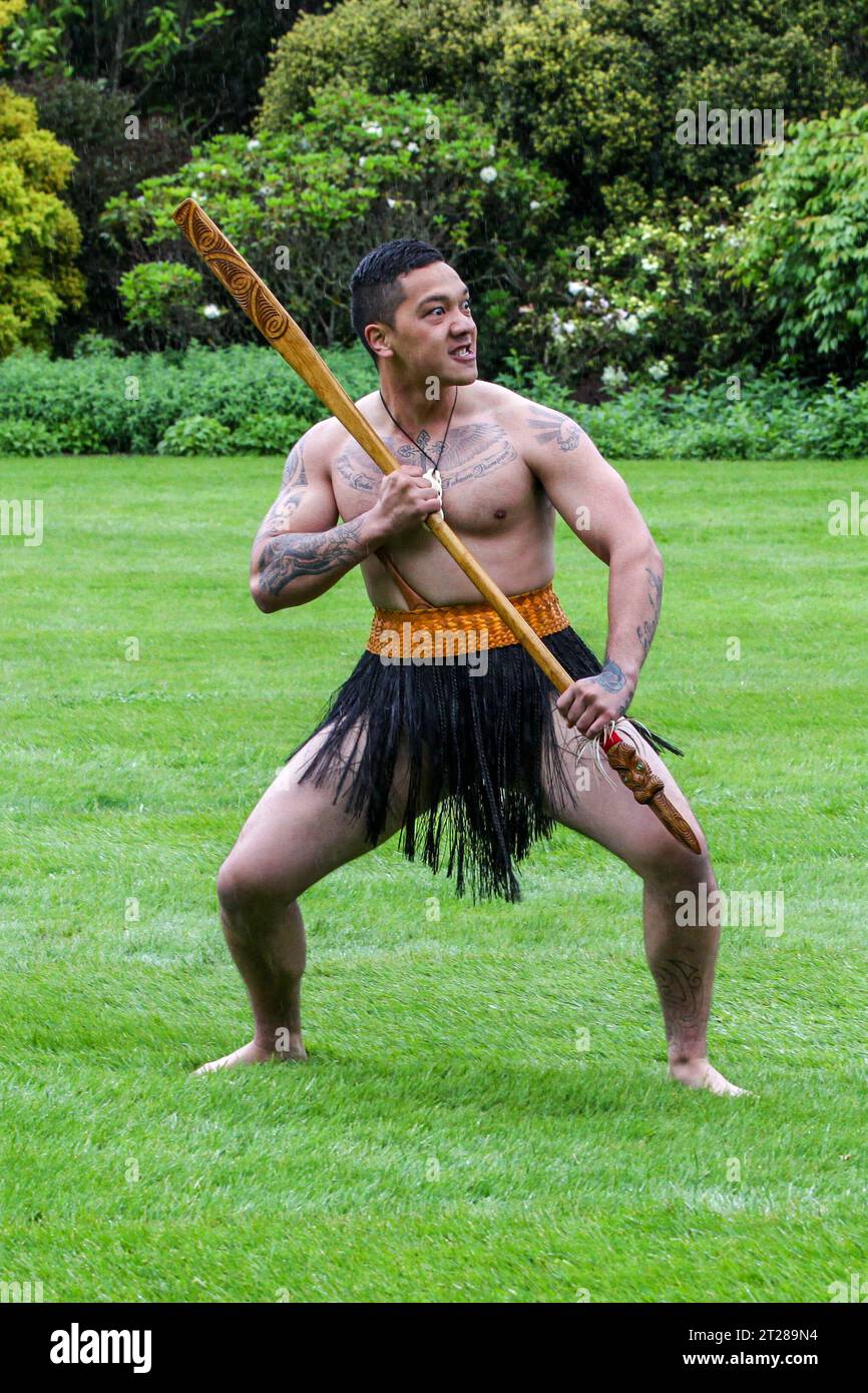 A maori warrior performs a powhiri (maori welcome) for King Willem ...