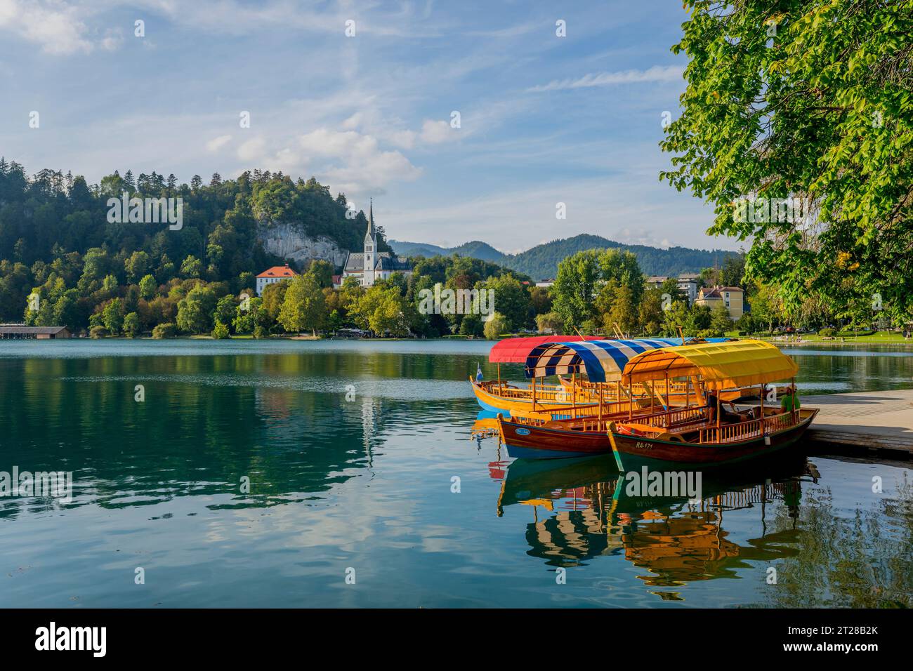 View of Lake Bled with docked pletna boats, traditional boats ...