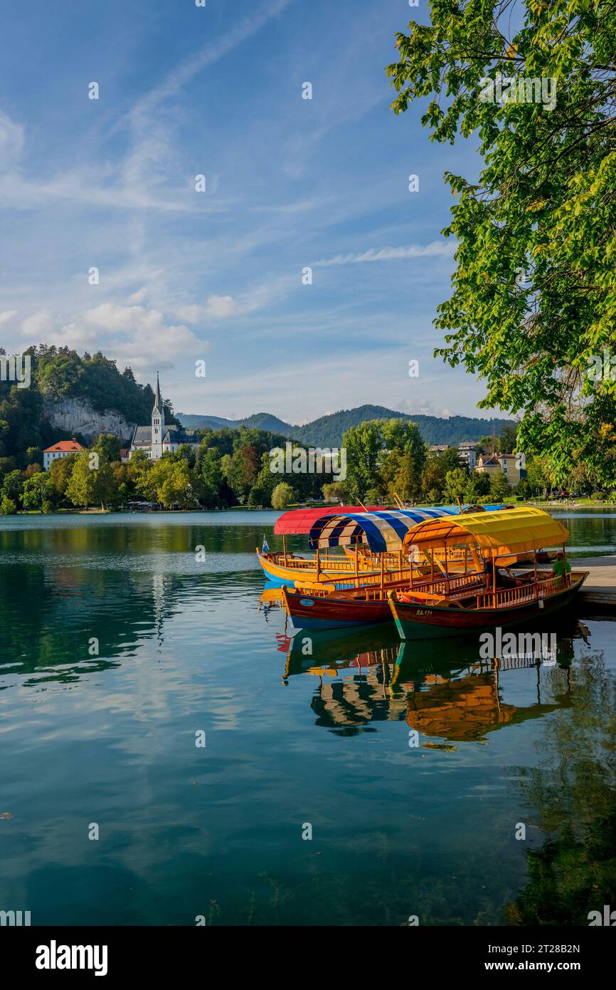 Pletna traditional slovenian wooden boat hi-res stock photography and ...