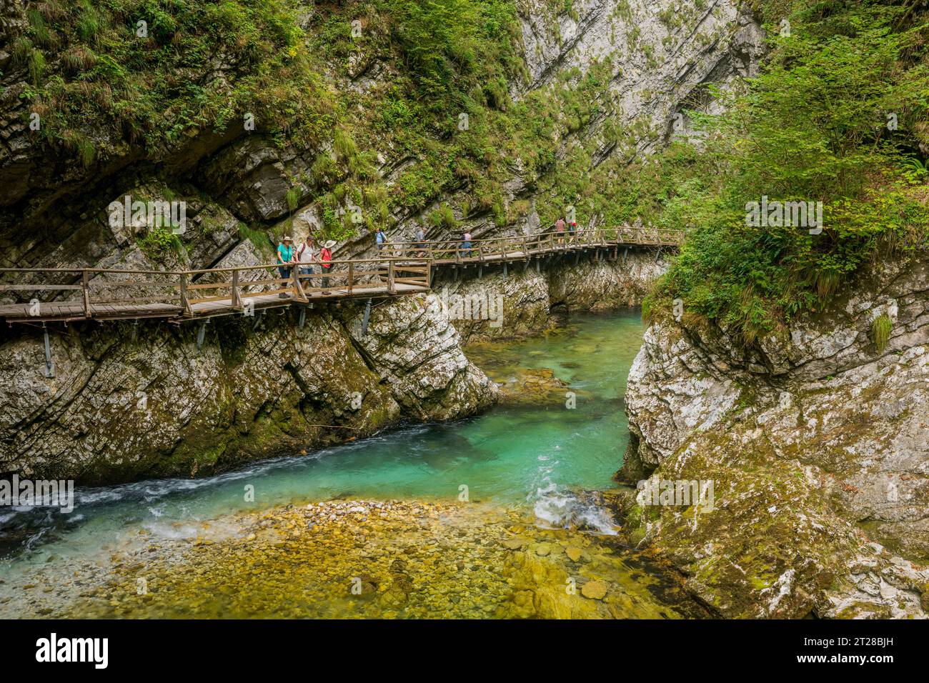 People walking on boardwalks through the Vintgar Gorge or Bled Gorge, a ...