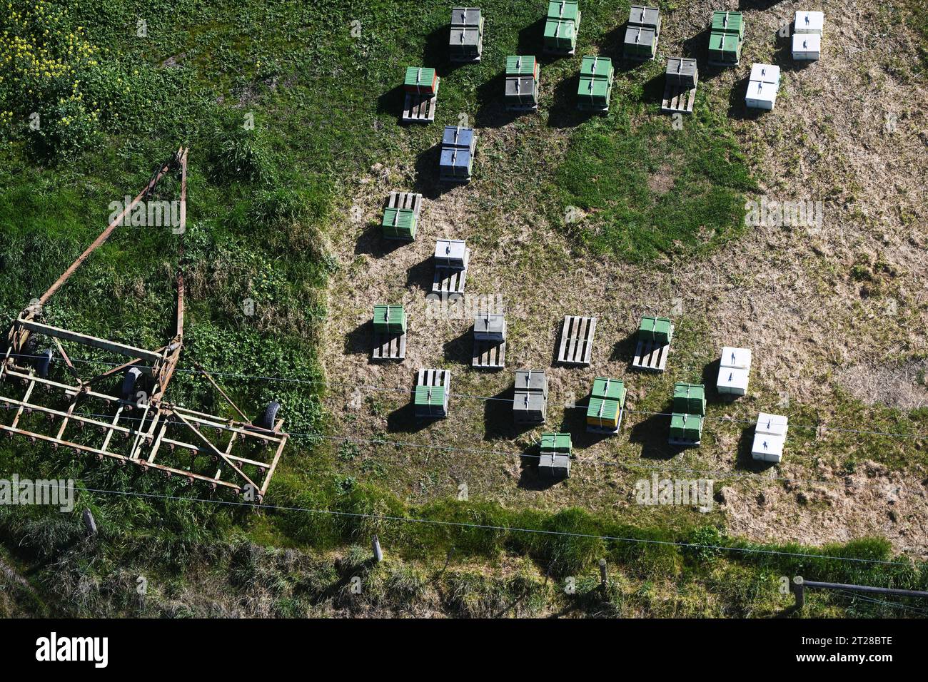 Aerial view of bee hives on a rural beekeeping farm focusing on honey ...