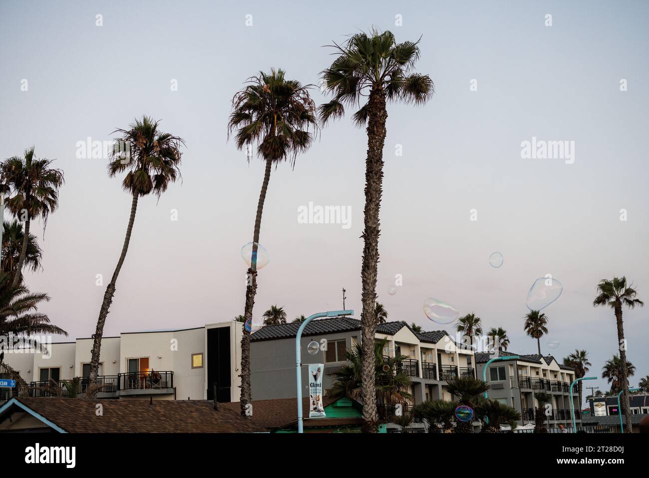 palm trees and bubbles over pacific beach, san diego, california Stock ...