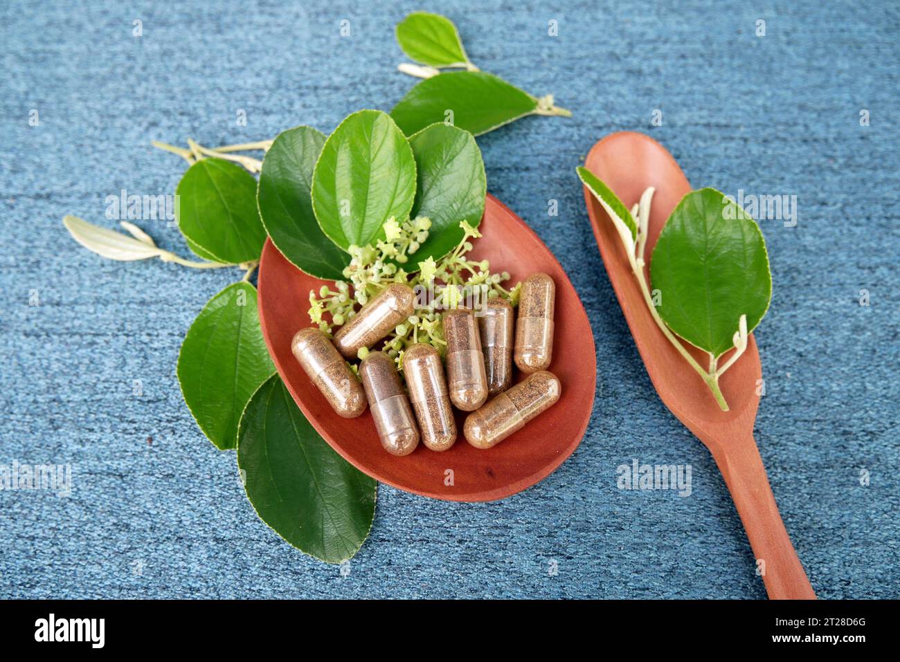 Herbal capsules from bidara with leaf on blue denim background ...
