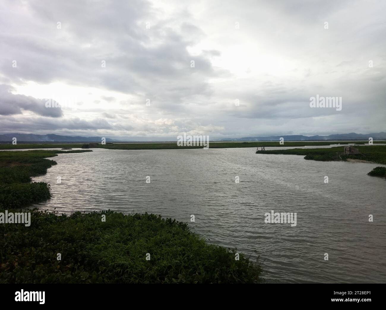 View over the water hyacinth Lake Limboto. View over the water hyacinth ...