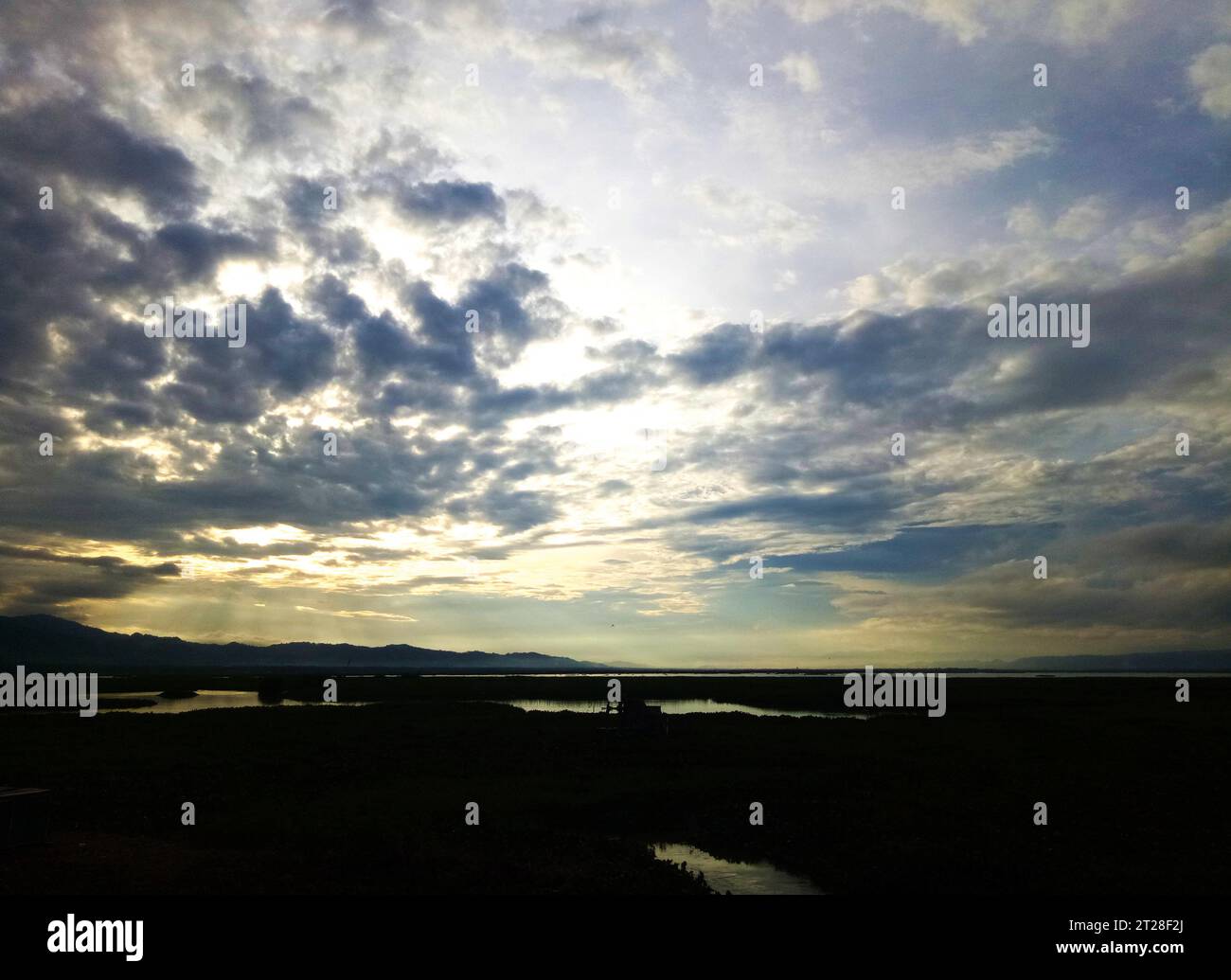 View over the water hyacinth Lake Limboto. View over the water hyacinth ...