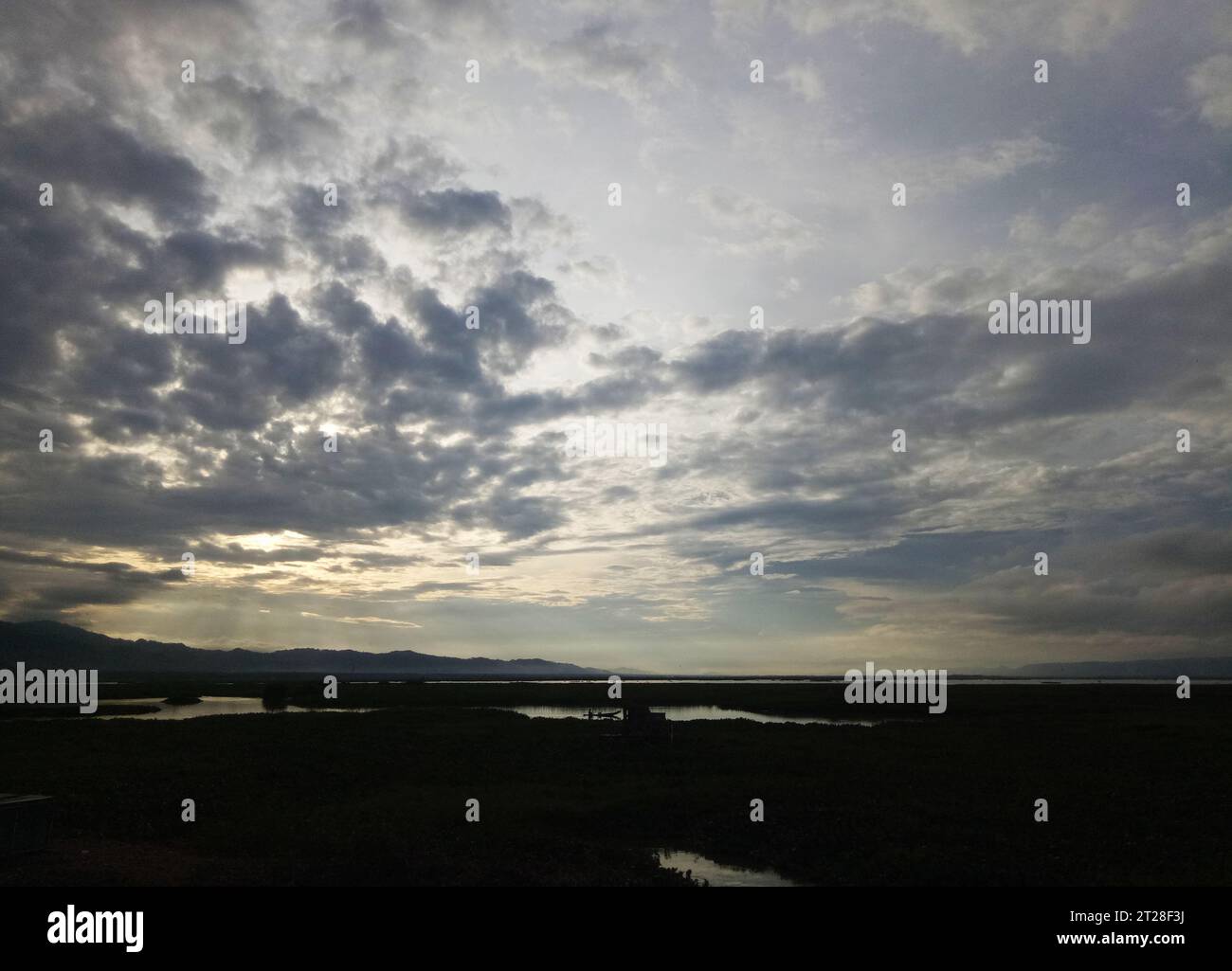 View over the water hyacinth Lake Limboto. View over the water hyacinth ...