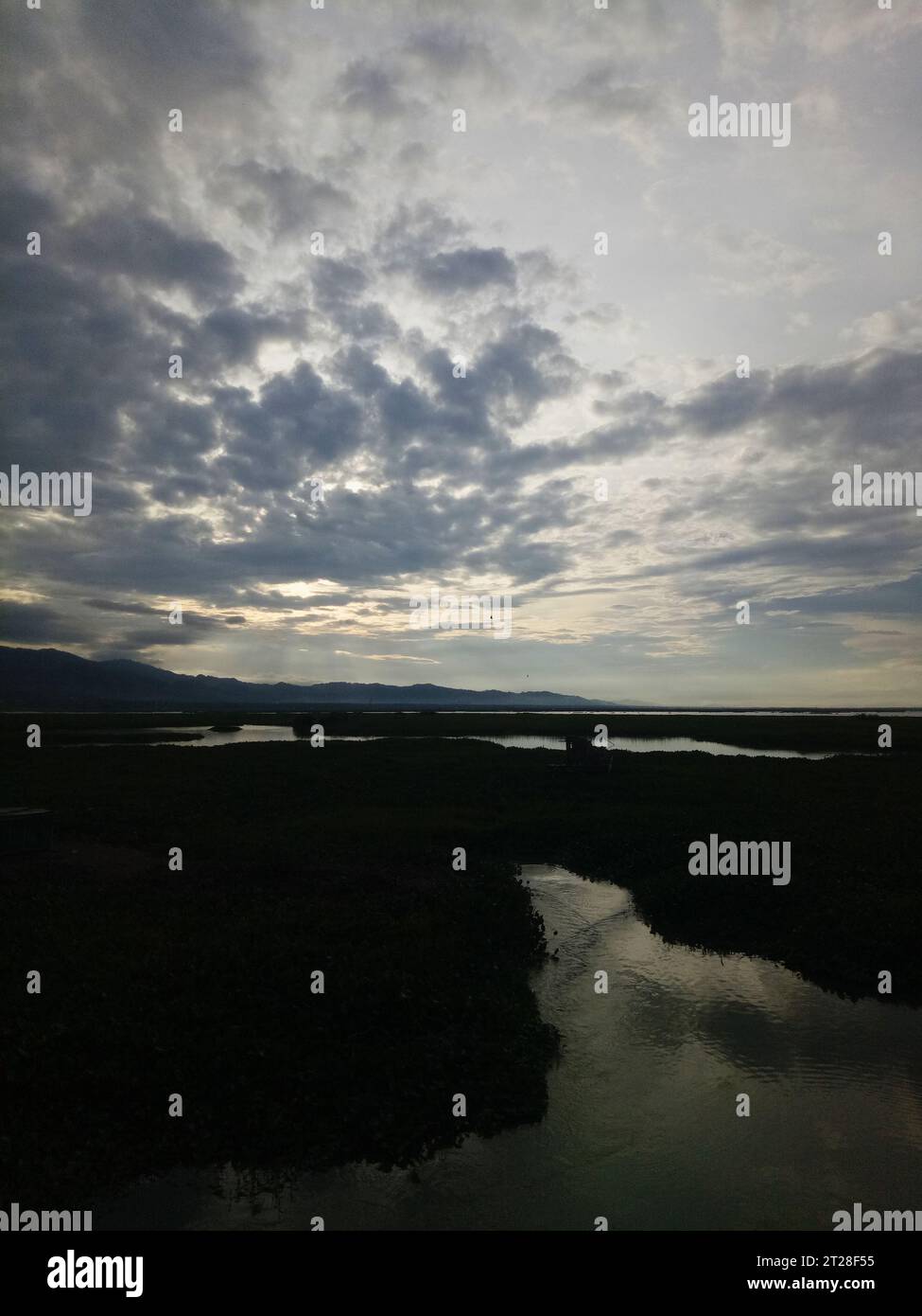 View over the water hyacinth Lake Limboto. View over the water hyacinth ...