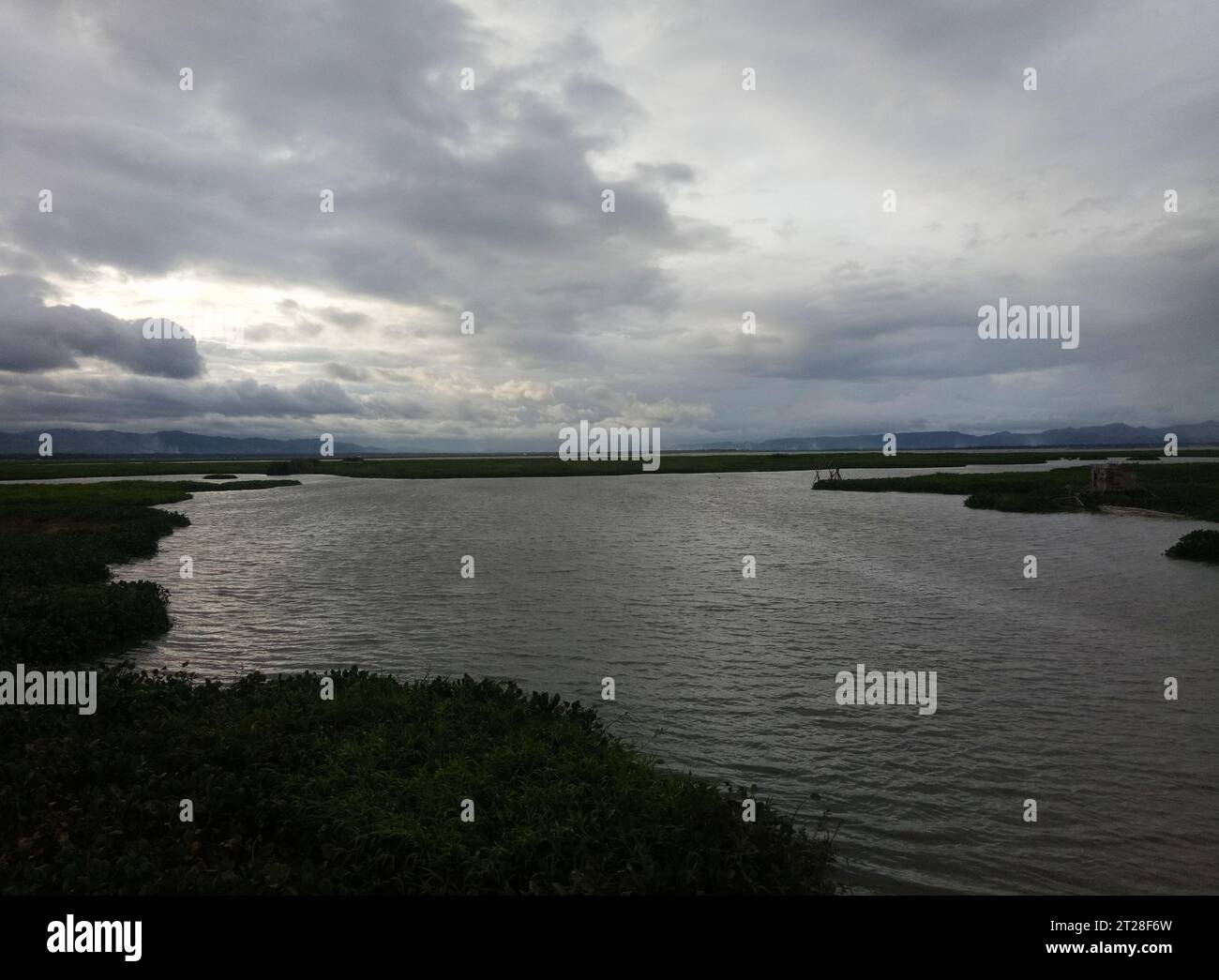 View over the water hyacinth Lake Limboto. View over the water hyacinth ...