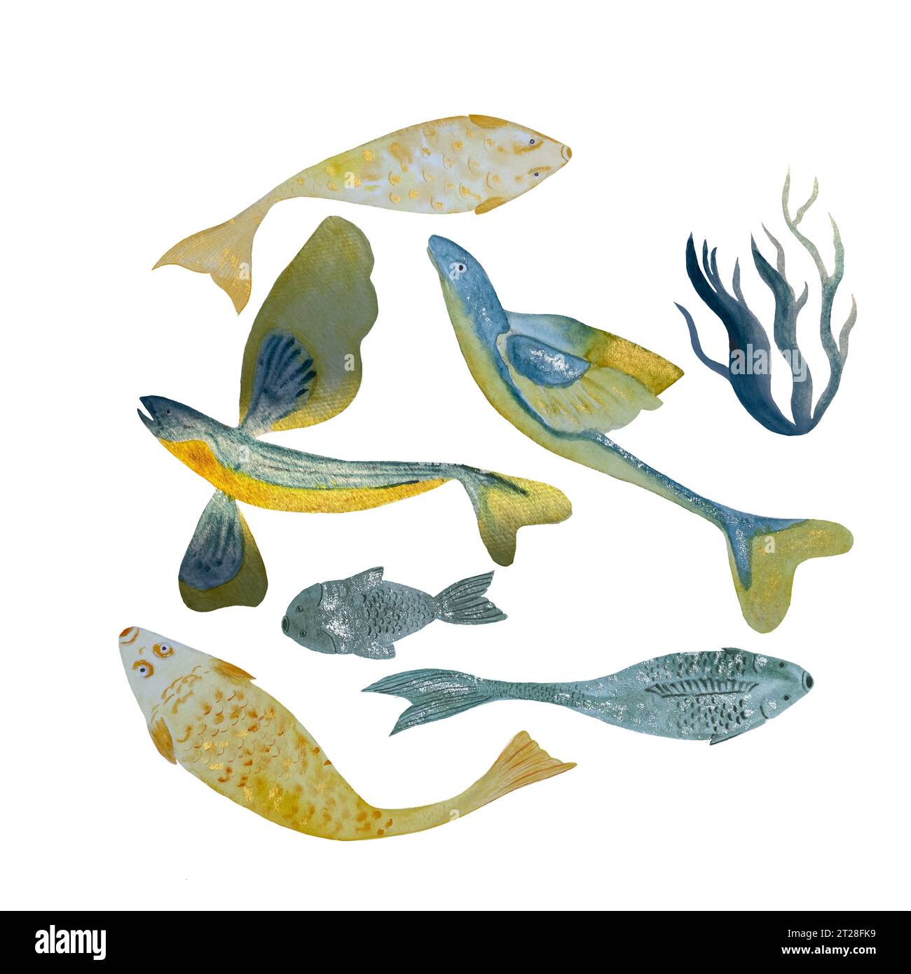 Watercolor hand-drawn fishes set on white Stock Photo - Alamy Watercolor hand-drawn fishes set on white Stock Photo - Alamy