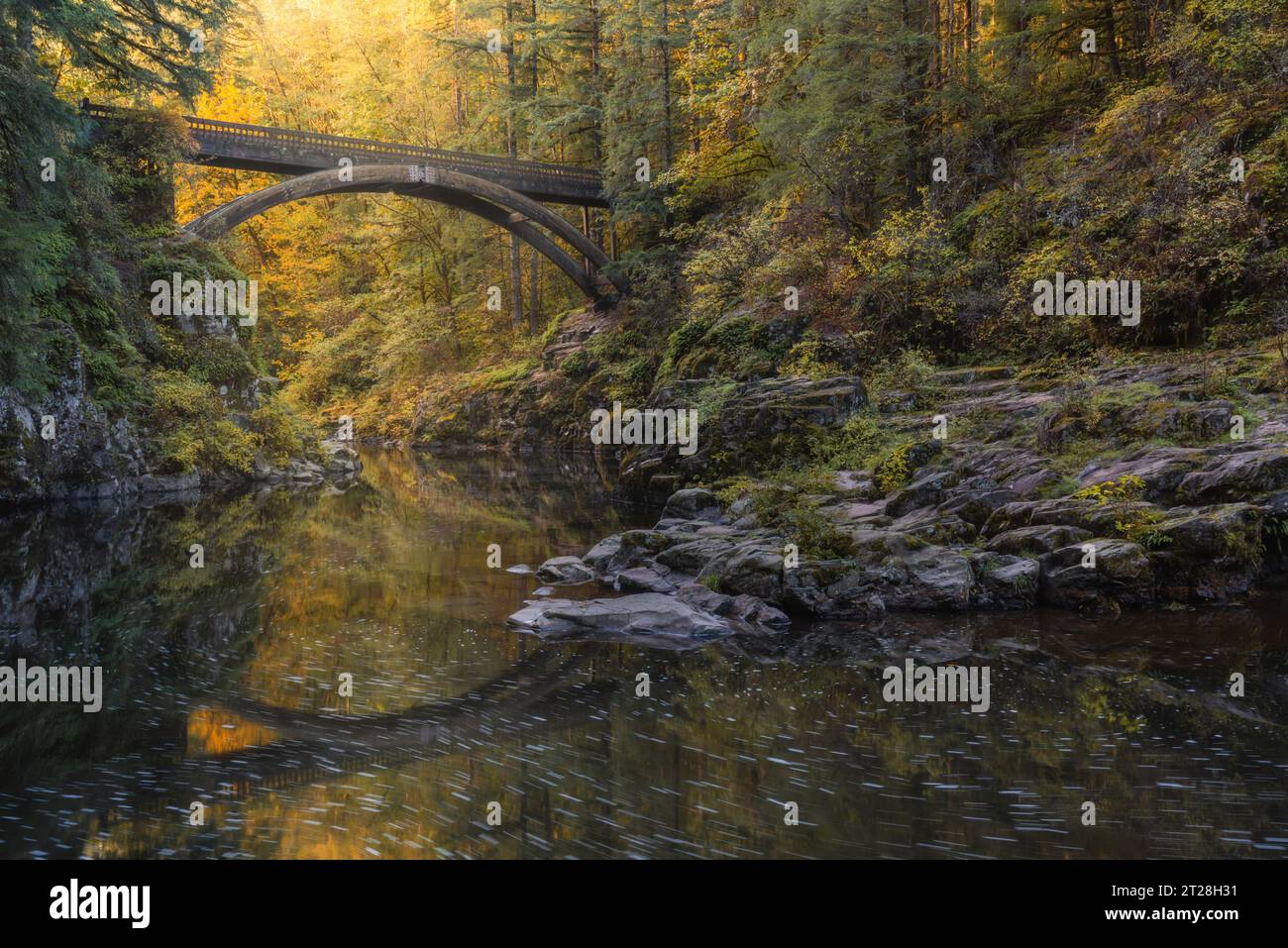 Fairytale forest arch bridge reflecting over calm river in autumn Stock ...