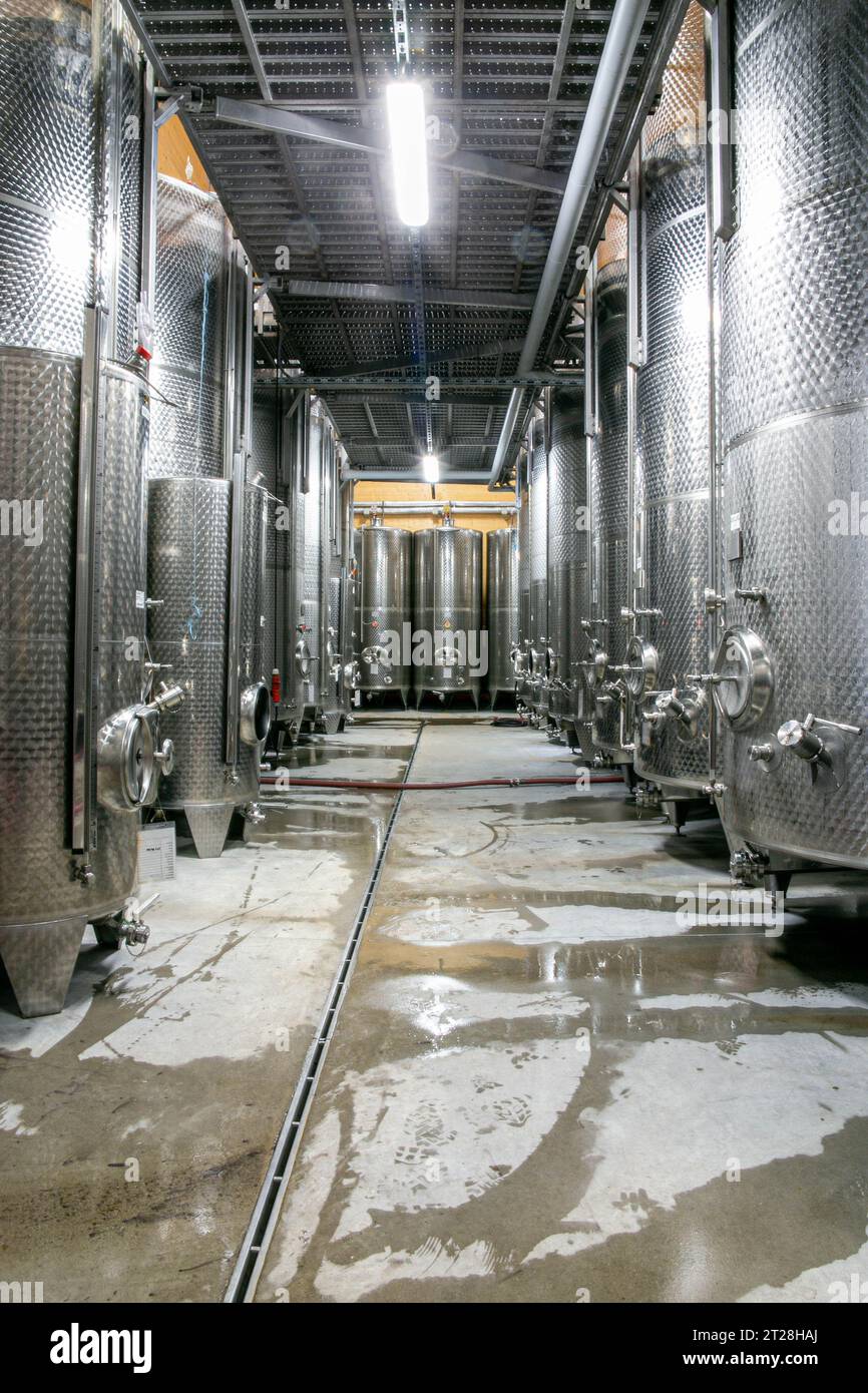 Wine cellar of a modern winery with wooden barrels and stainless steel ...