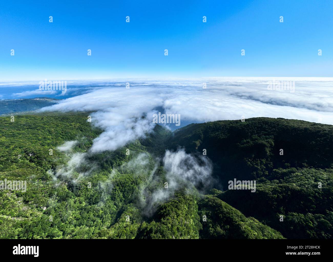 Posto florestal do fanal hi-res stock photography and images - Alamy