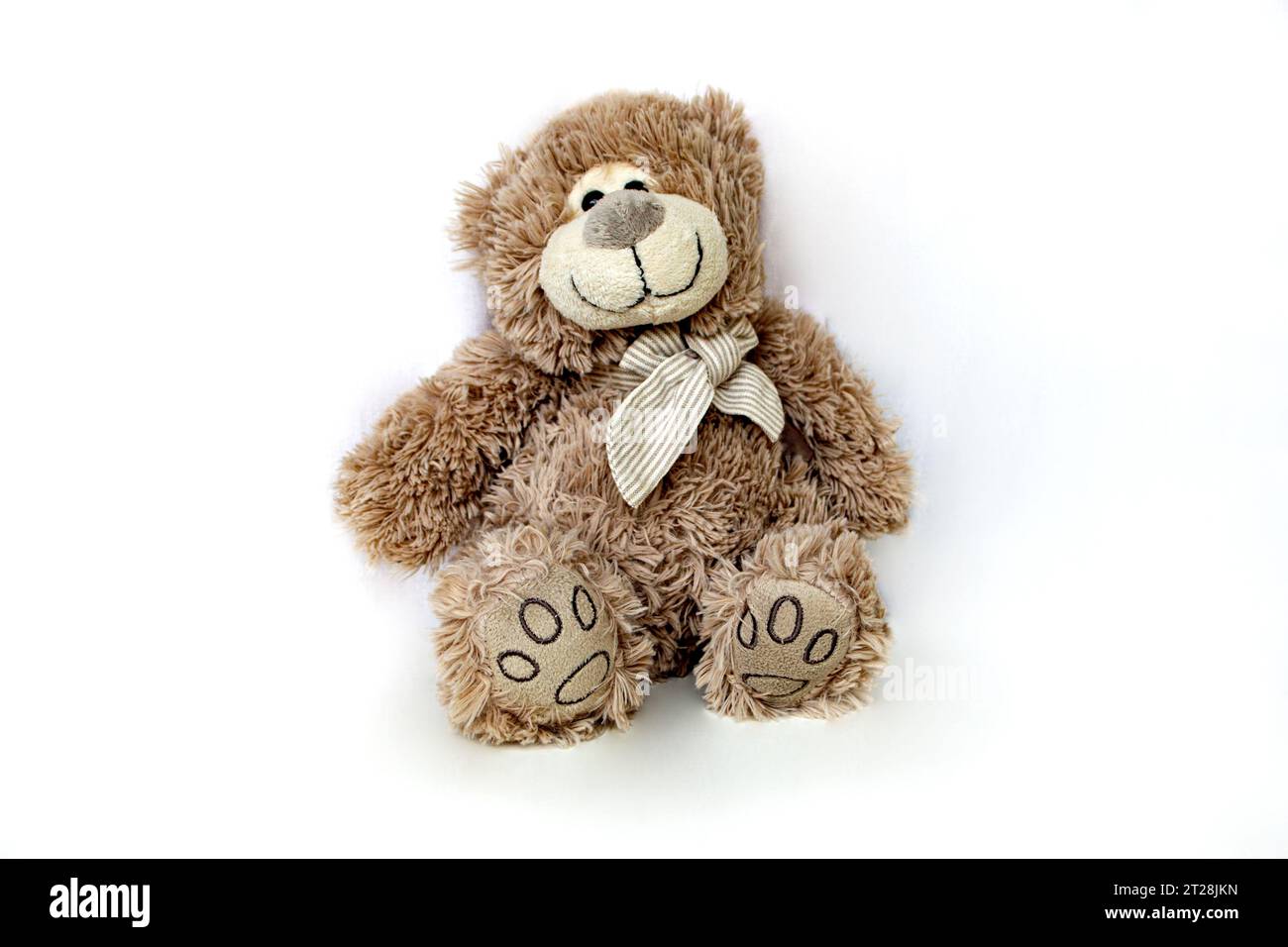 Teddy Bear brown, Teddy Bear doll isolated on white background. High ...