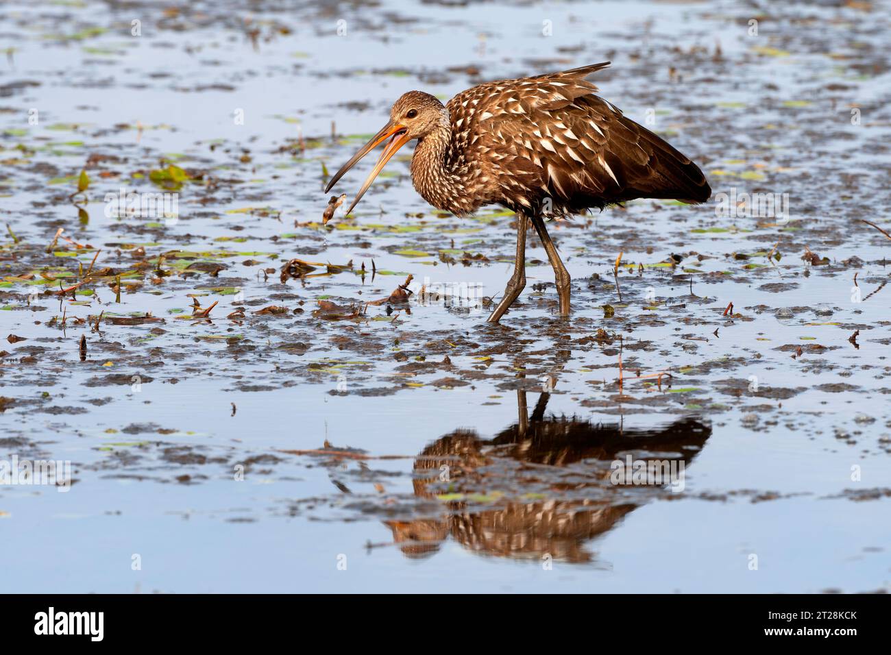 Finding lovers hi-res stock photography and images - Alamy