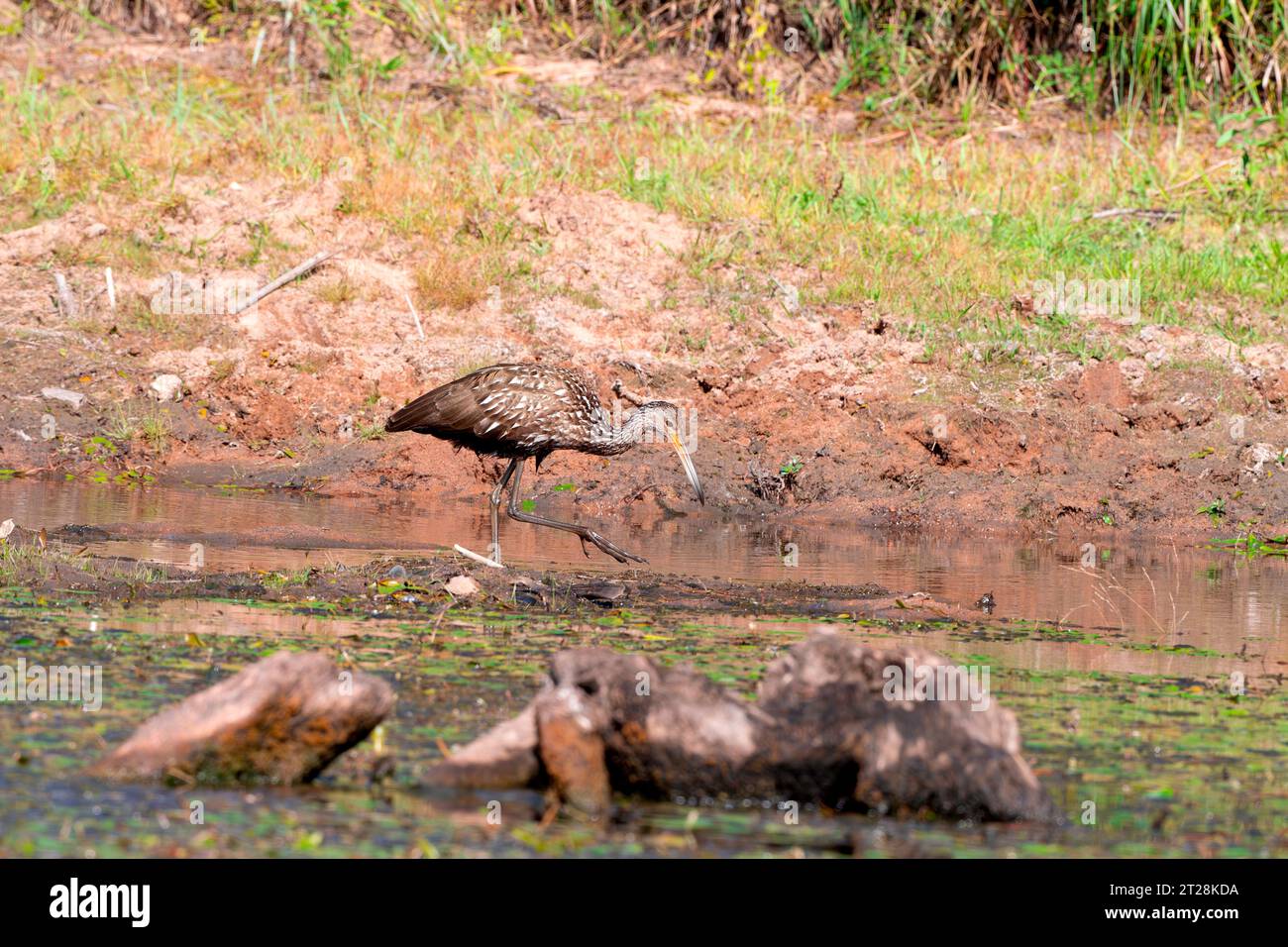 Finding lovers hi-res stock photography and images - Alamy