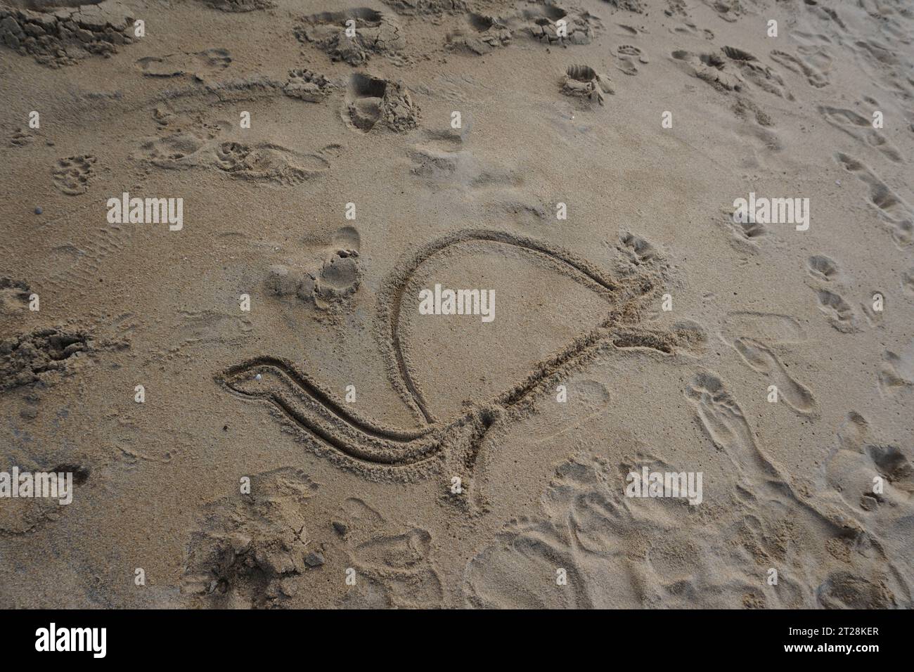 Drawing in the sand on beach of turtle in Cairns, Queensland, Australia ...