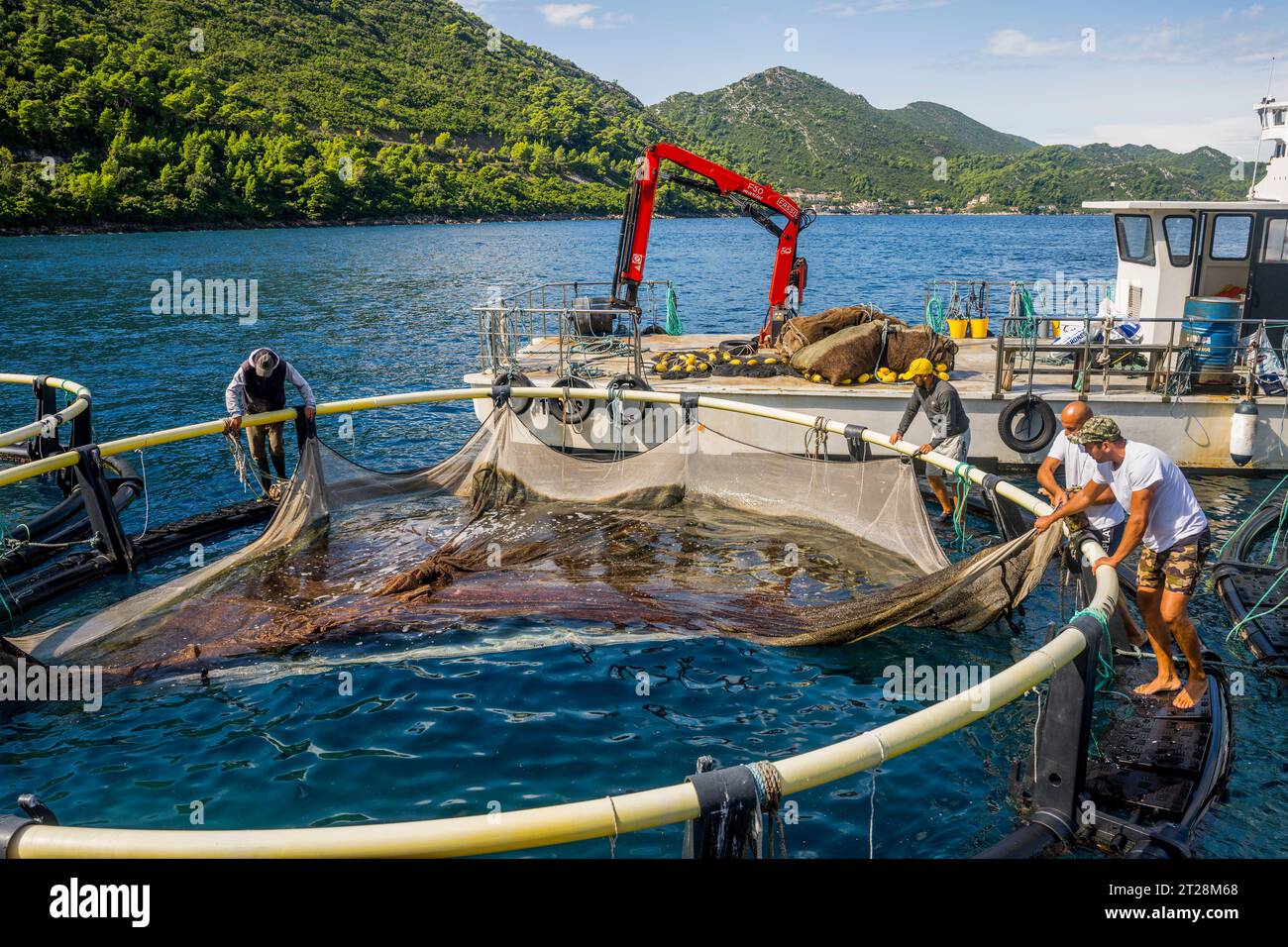 Fishermen preparing fish cages of a fish farm in a bay near Sobra ...