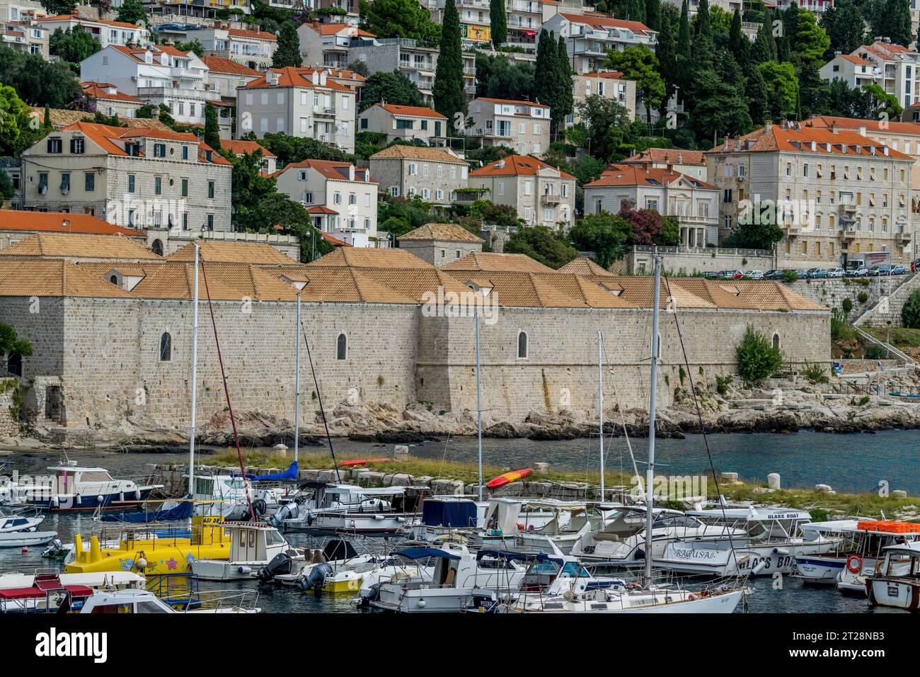First quarantine walk hi-res stock photography and images - Alamy