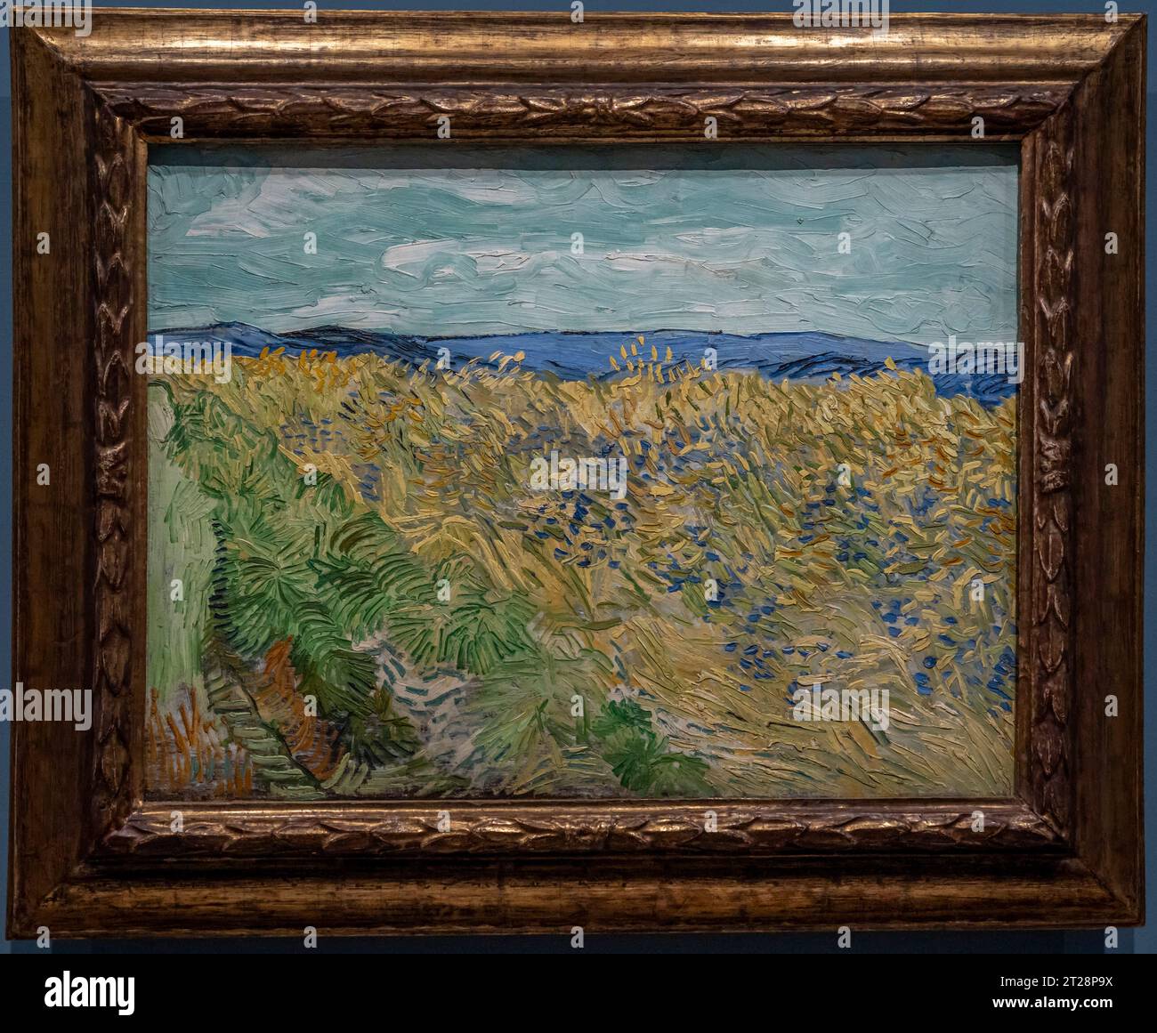 Auvers sur oise wheat hi-res stock photography and images - Alamy