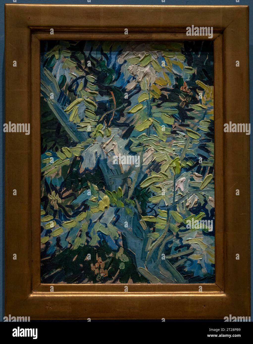 Paris, France - 10 08 2023: Orsay Museum. Acacia branches in bloom ...