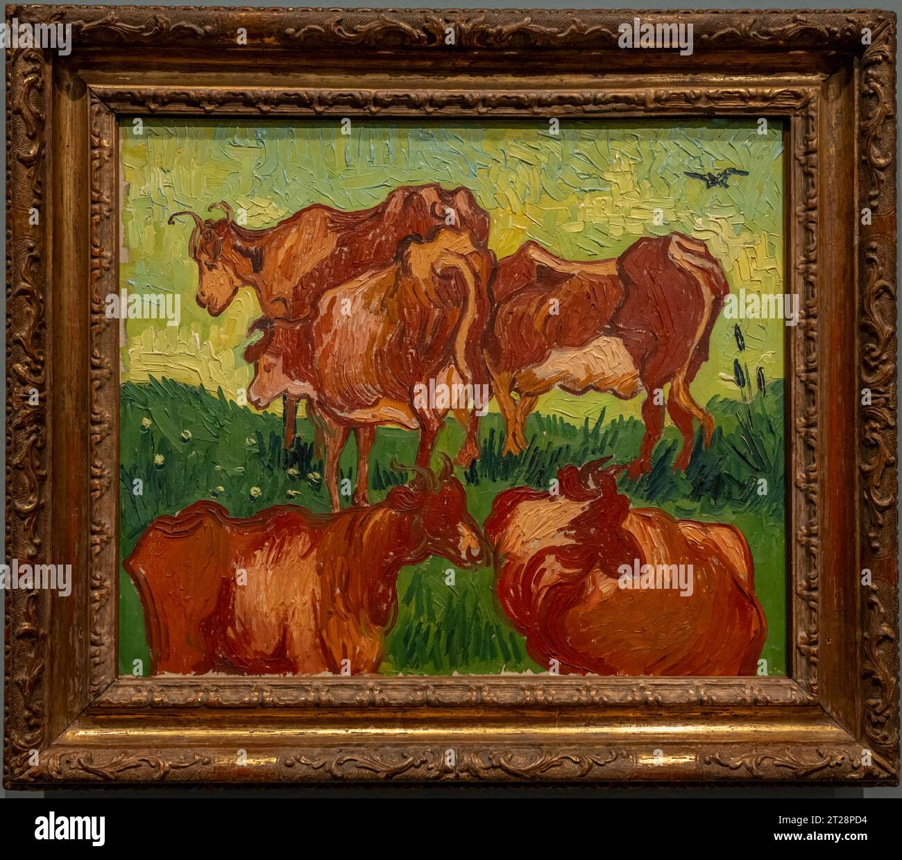 Paris, France - 10 08 2023: Orsay Museum. The cows painted by Vincent ...