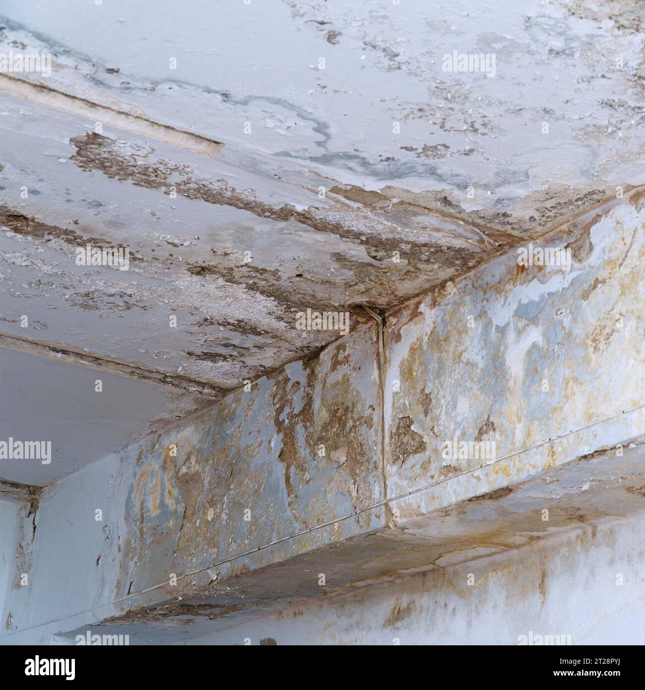 Ceiling in need of repair. On the ceiling, dirt and cracks. Selective ...