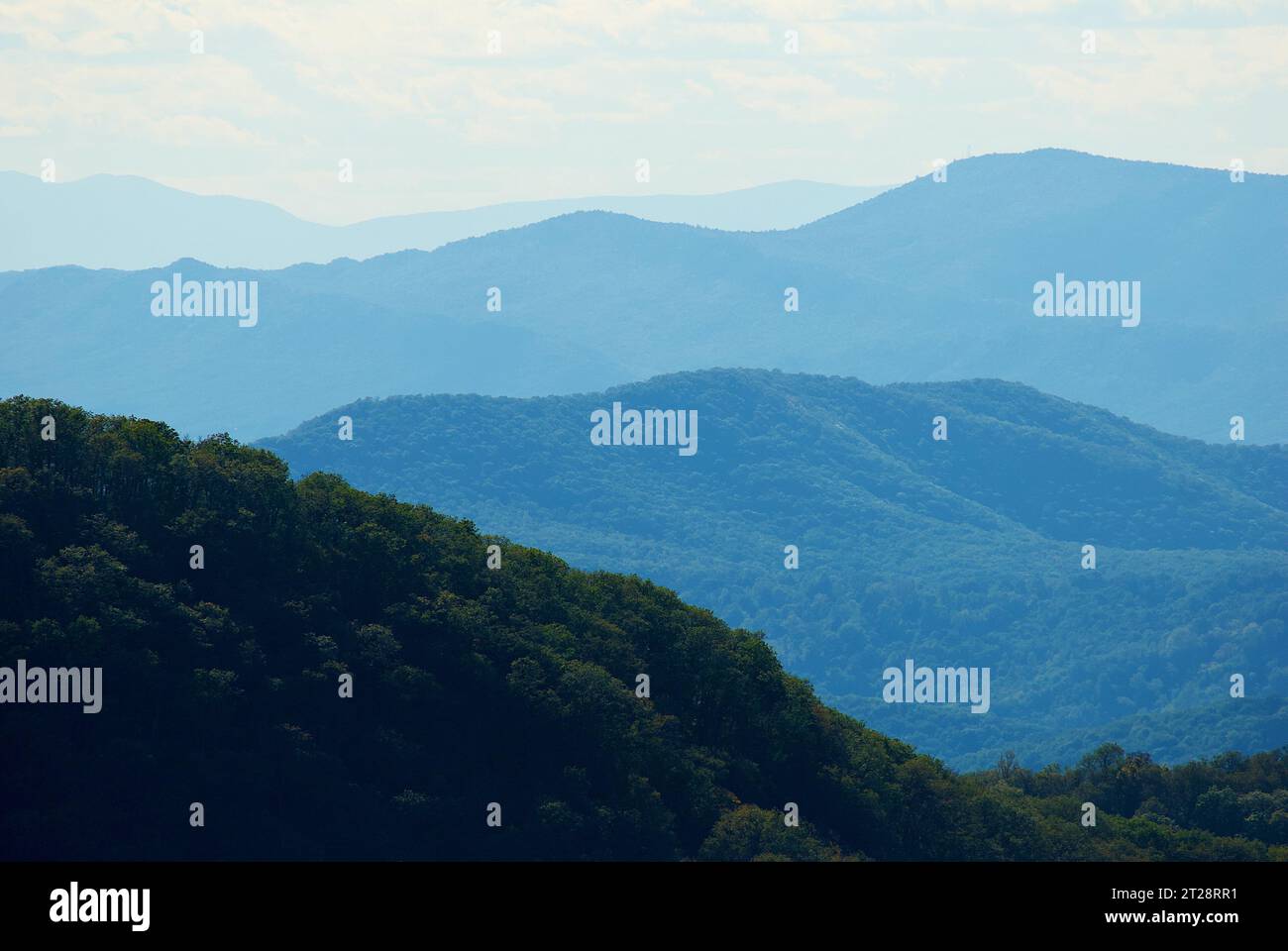 Morning fog that gives the Blue Ridge Mountains its unique color ...