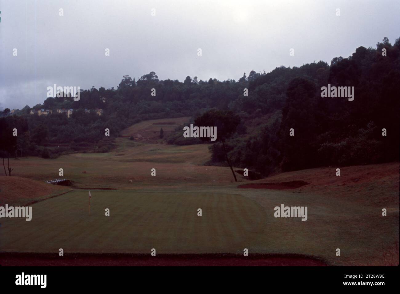 A golf course is the grounds on which the sport of golf is played. It ...