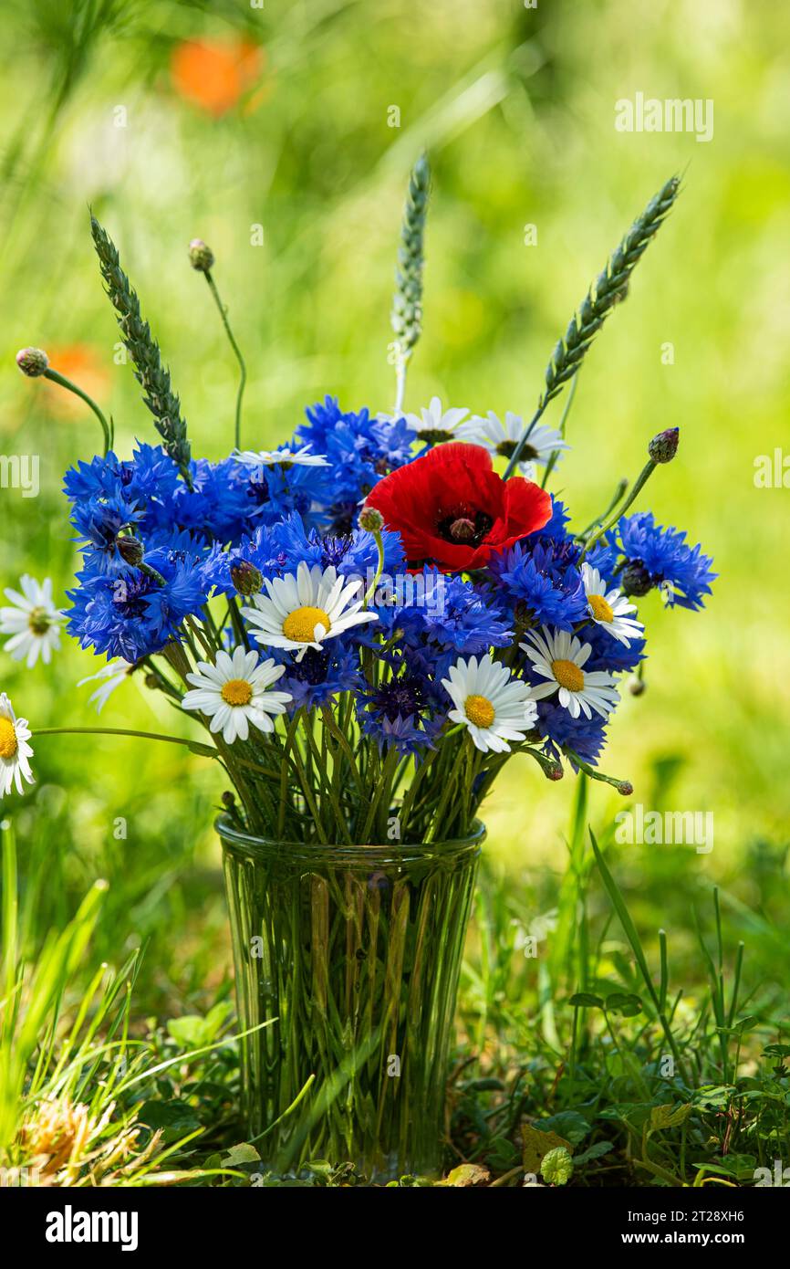 Cornflower bouquet in nature background Stock Photo - Alamy
