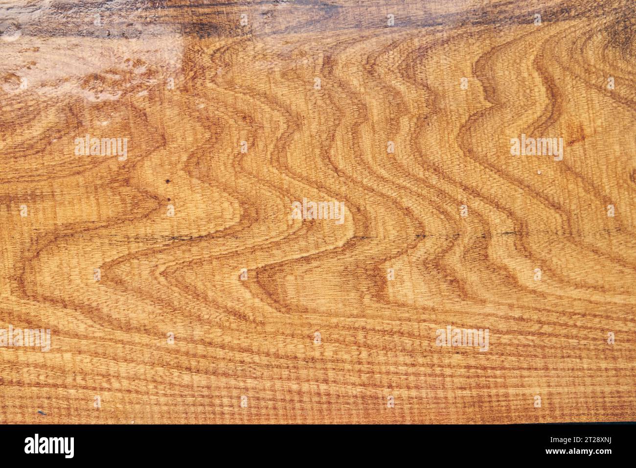 Clean modern wooden background with resin. The texture of old light ...