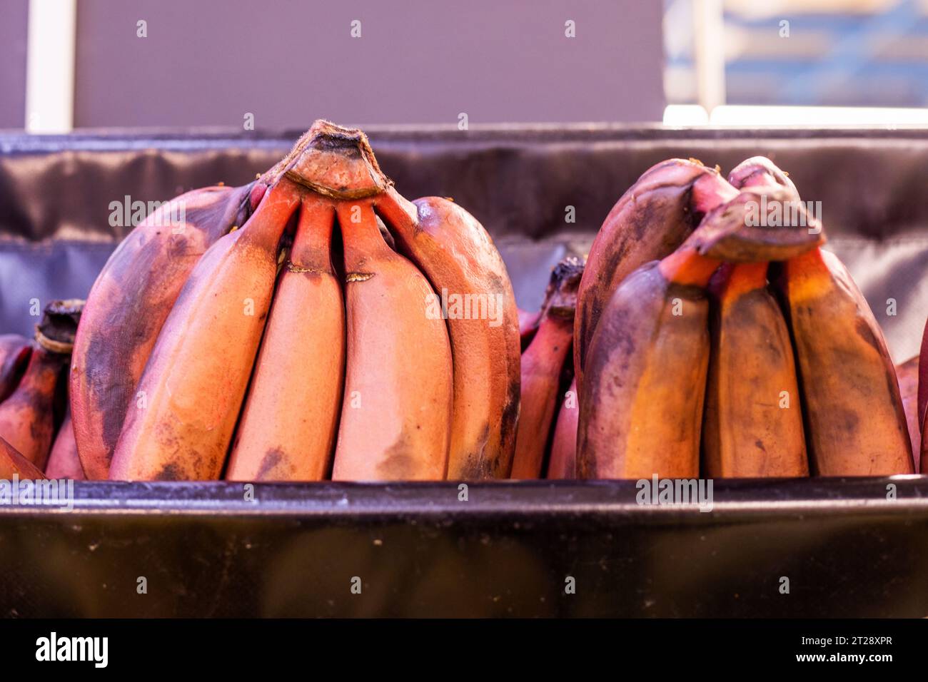 bunches of brown bananas on the store counter Stock Photo - Alamy
