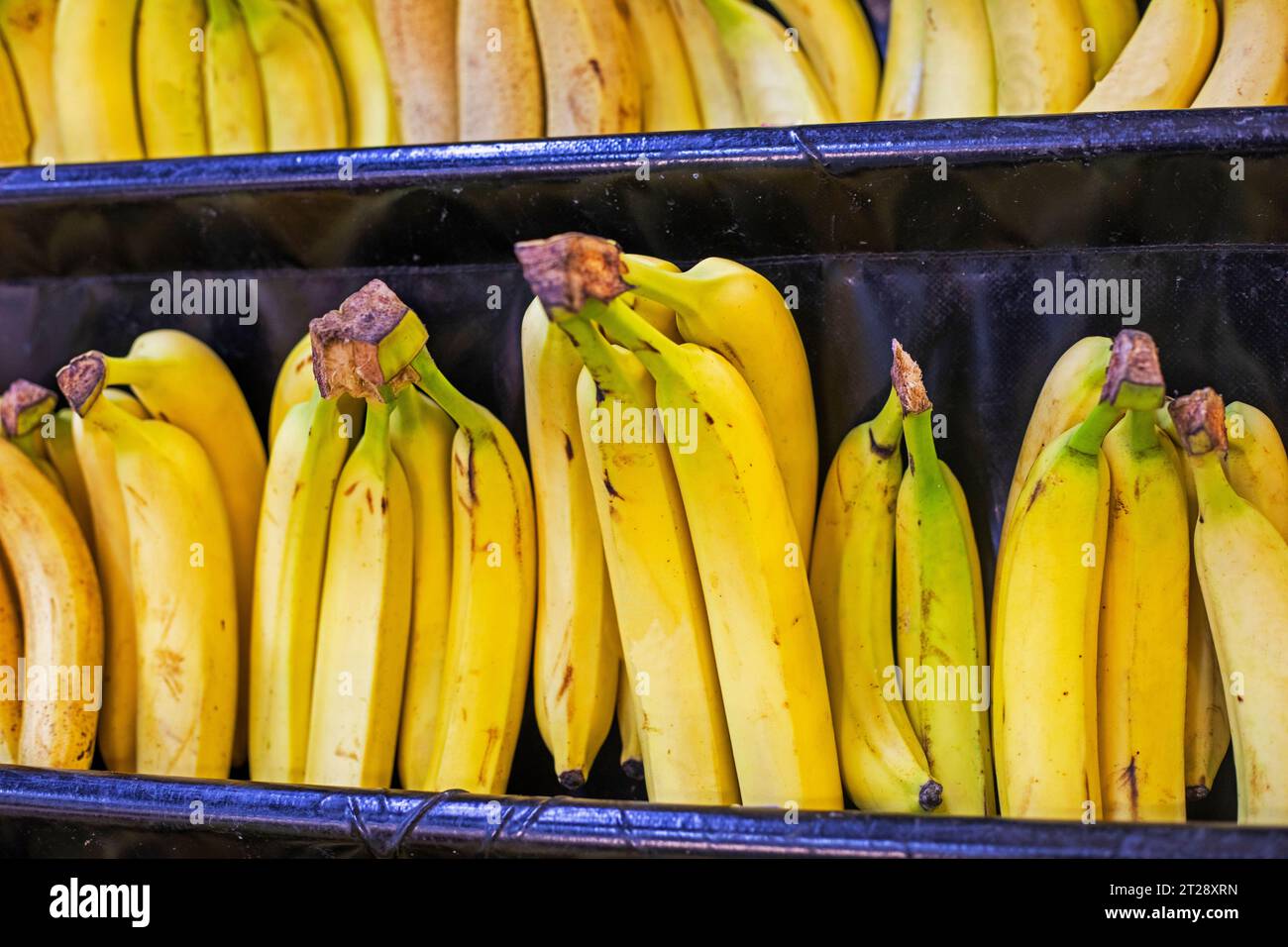 yellow bananas on the counter in a supermarket Stock Photo - Alamy