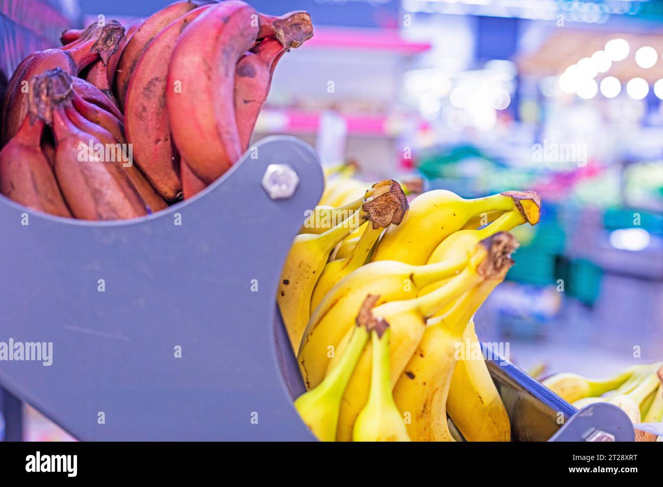 three different types of bananas on the counter in a store Stock Photo ...