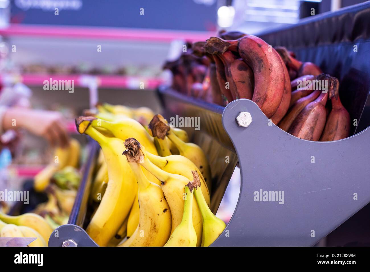 three different types of bananas on the counter in a store Stock Photo ...