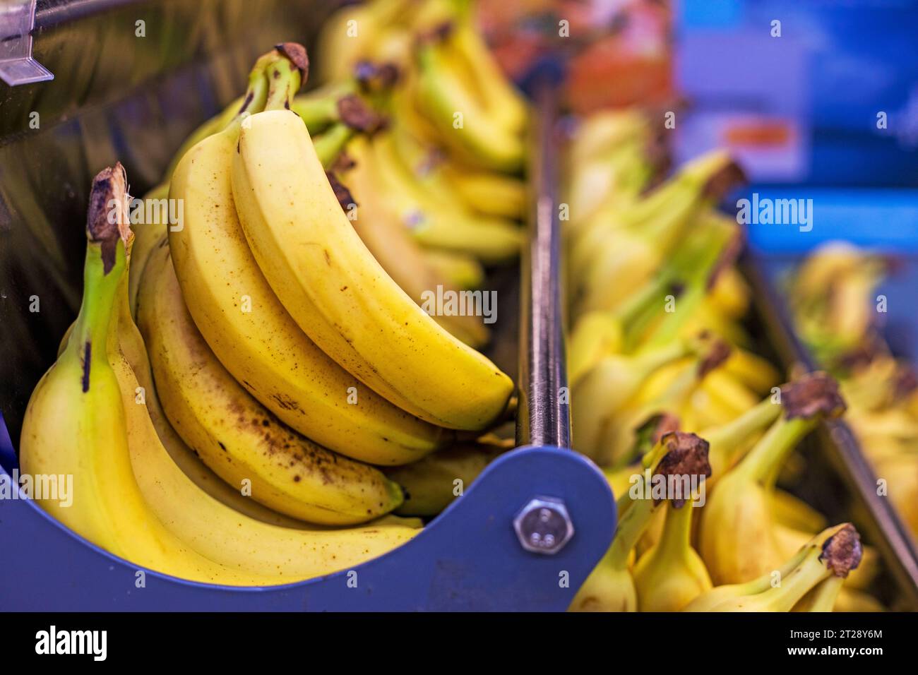 yellow bananas on the counter in a supermarket Stock Photo - Alamy