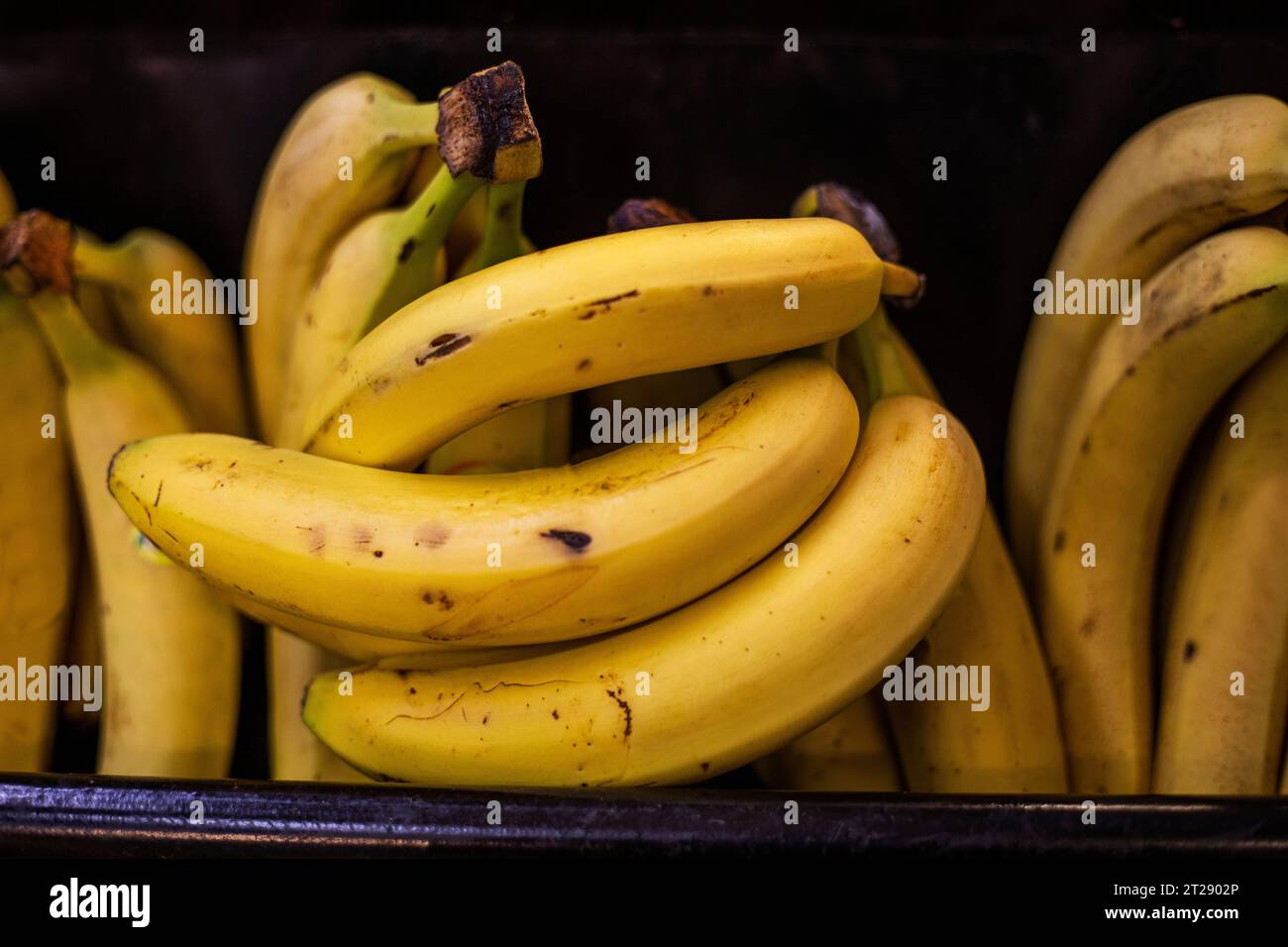 yellow bananas on the counter in a supermarket Stock Photo - Alamy