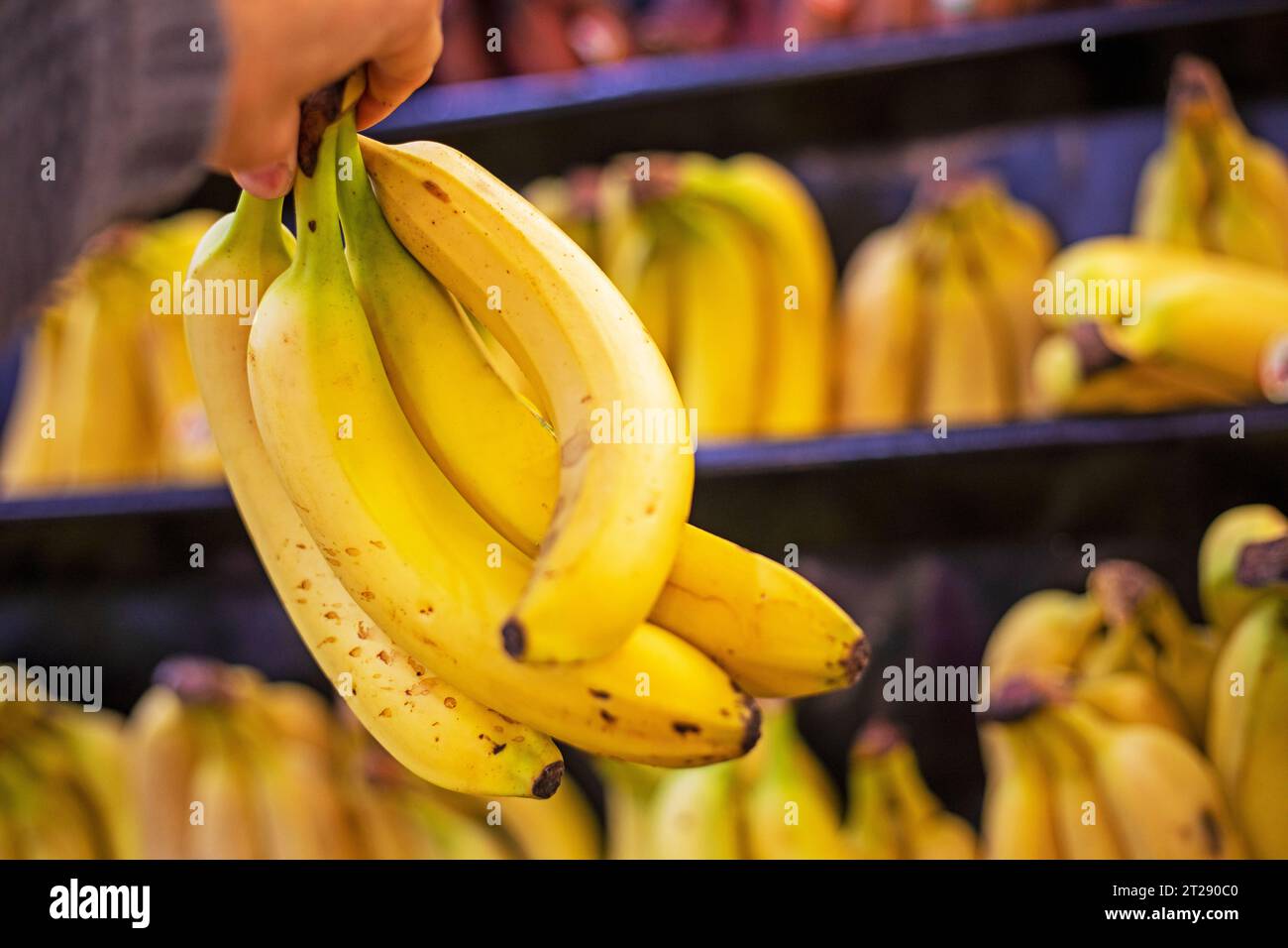 holding a bunch of bananas in hand in a supermarket store Stock Photo ...