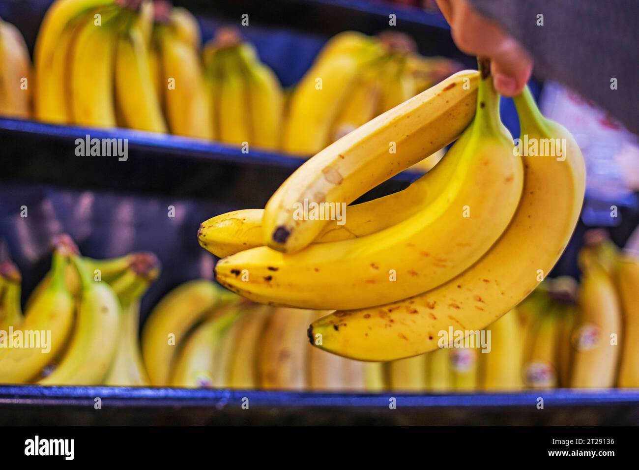 Bunch of bananas supermarket hi-res stock photography and images - Alamy