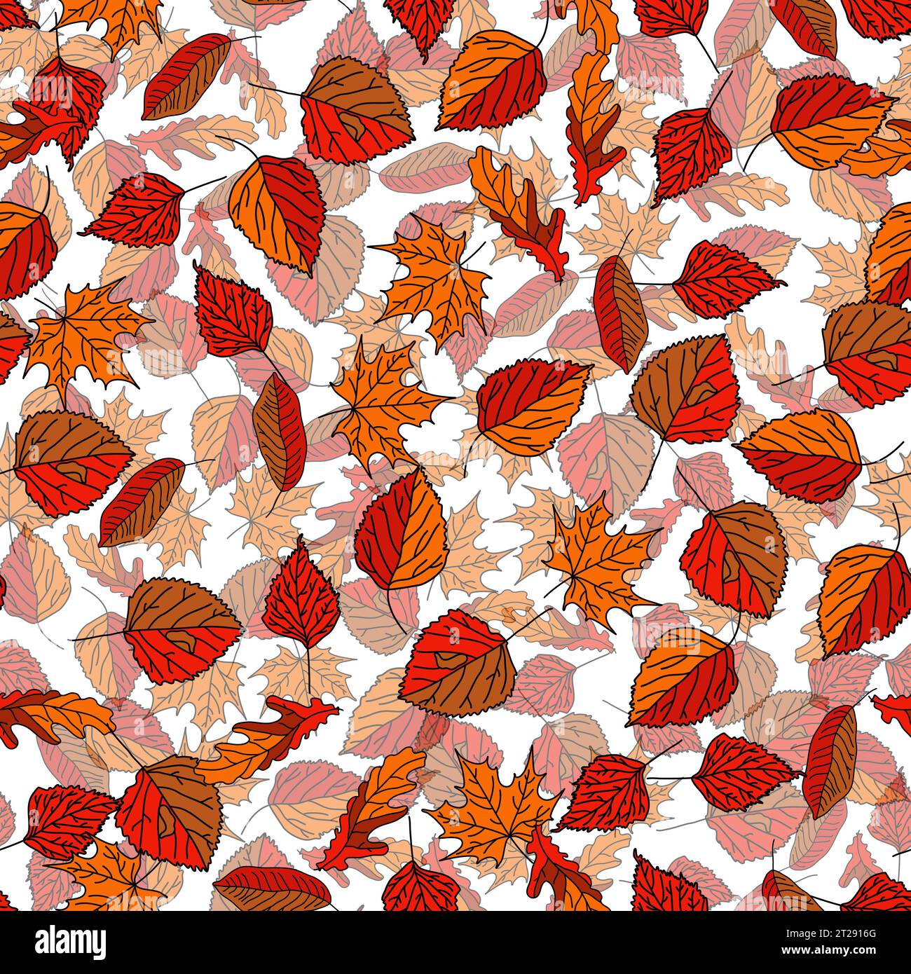 Vector hand drawn seamless pattern of fall leaves of birch, oak, maple ...