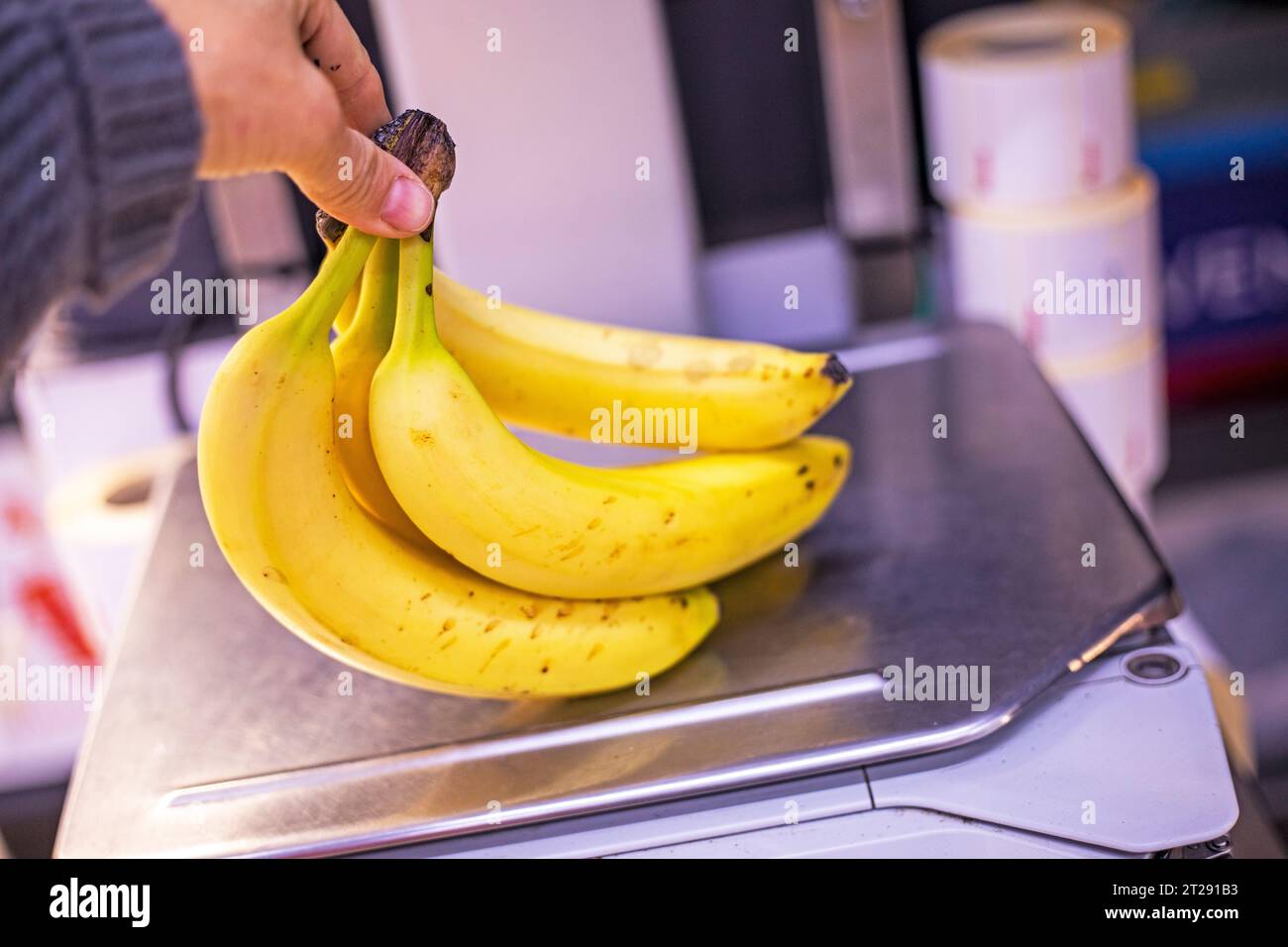 weighing a bunch of ripe yellow bananas on a supermarket scale Stock ...