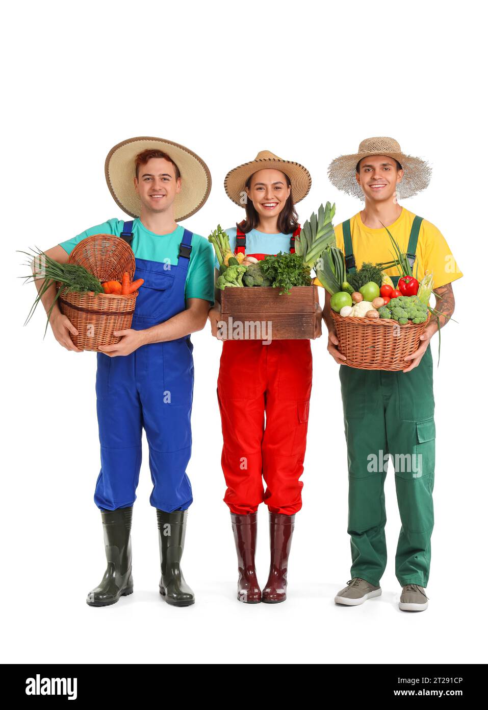 Farming agriculture farmers vegetables Cut Out Stock Images & Pictures ...